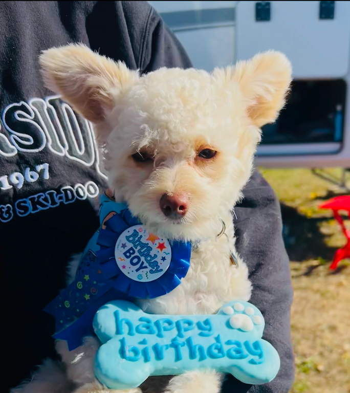 Fundraiser for Sherry Gagne by Ava Molella : Help Our Little Warrior ...