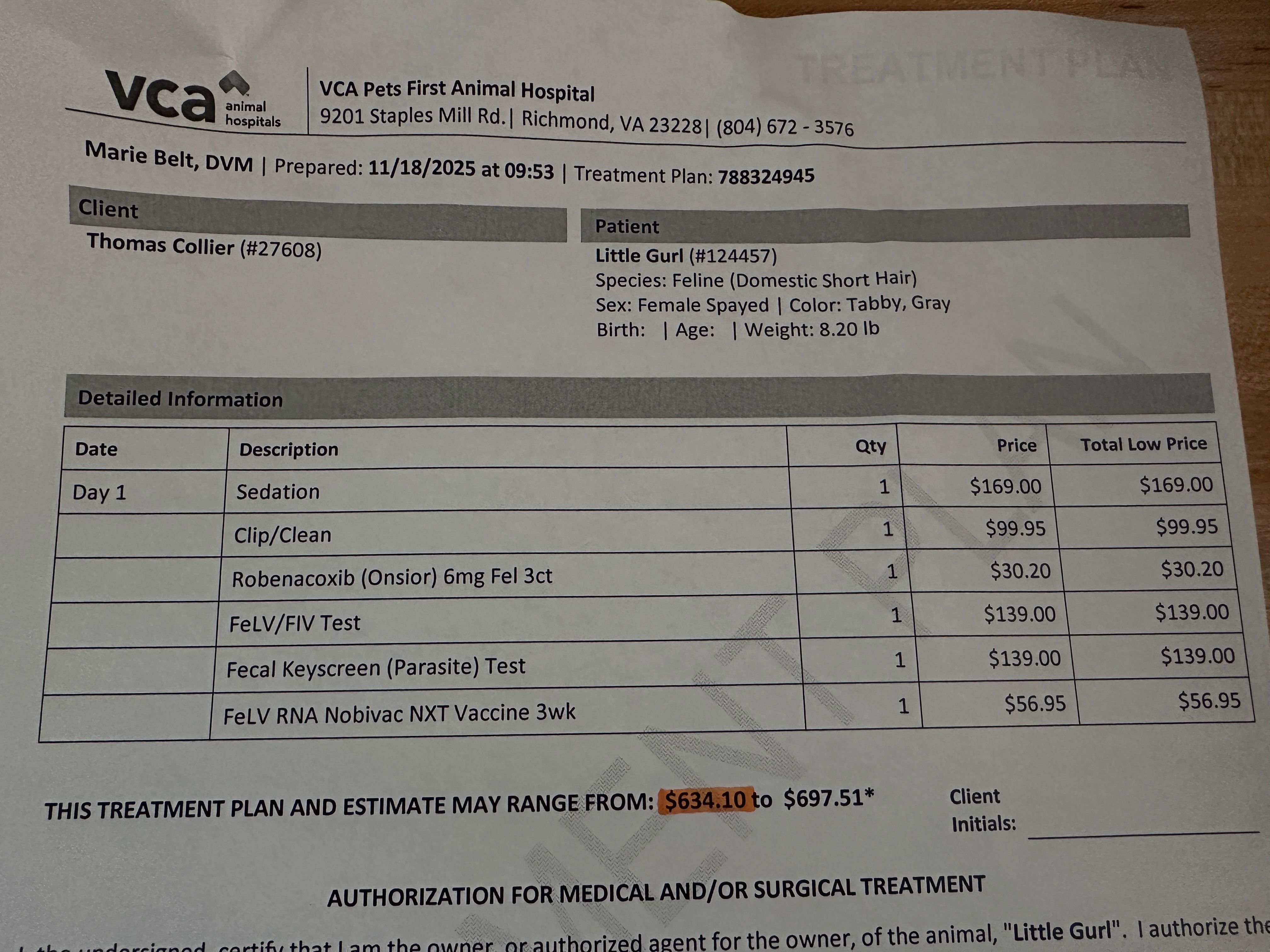 Fundraiser by Thomas Collier : Stray Kitty Veterinary hospital bill