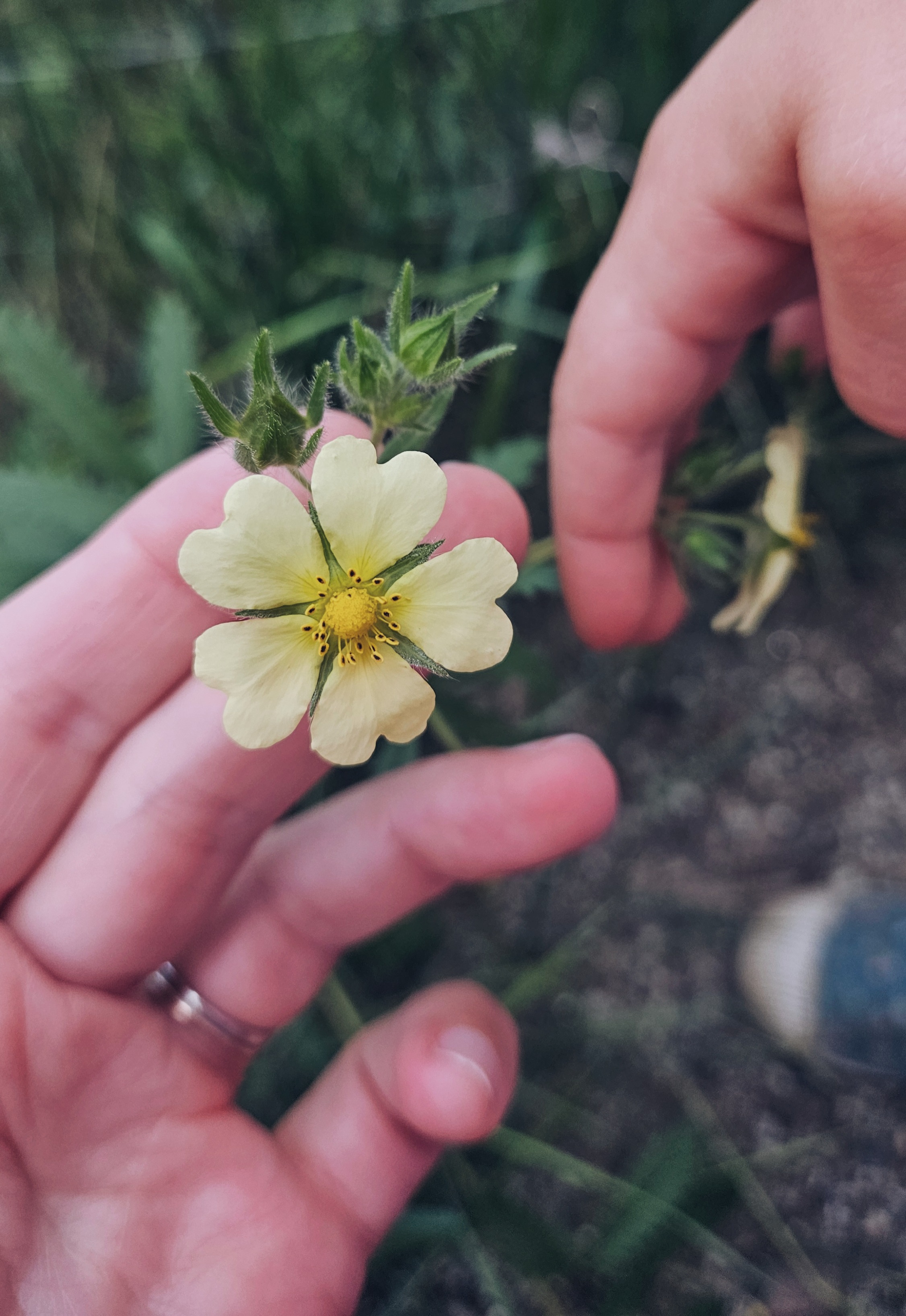 Fundraiser by Kat Farrell-Davis : Help a Poet & Caregiver Attend a Writing Retreat