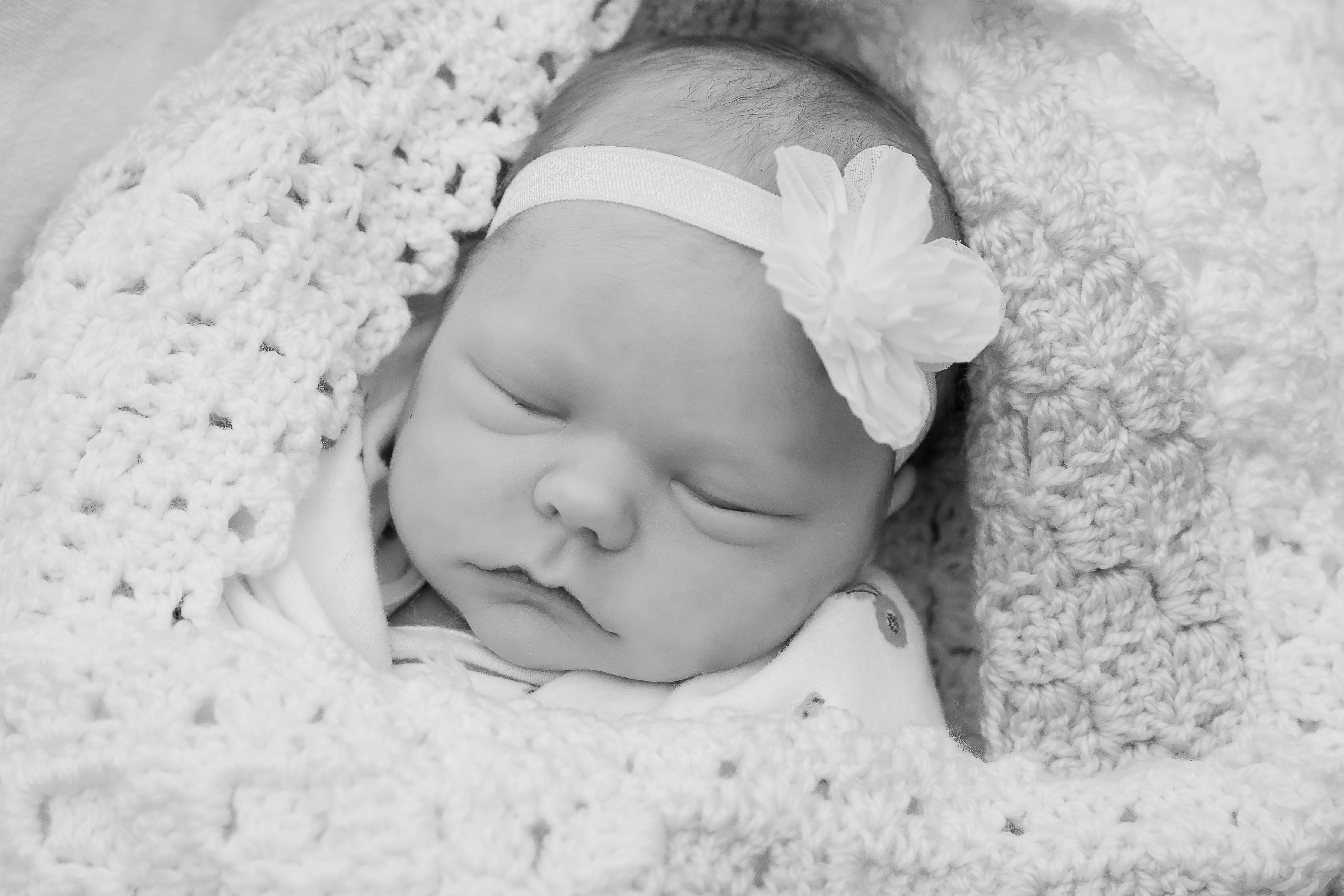 Fundraiser by Sara Halsey : Avery’s Legacy: Donate a Cuddle Cot in Her ...