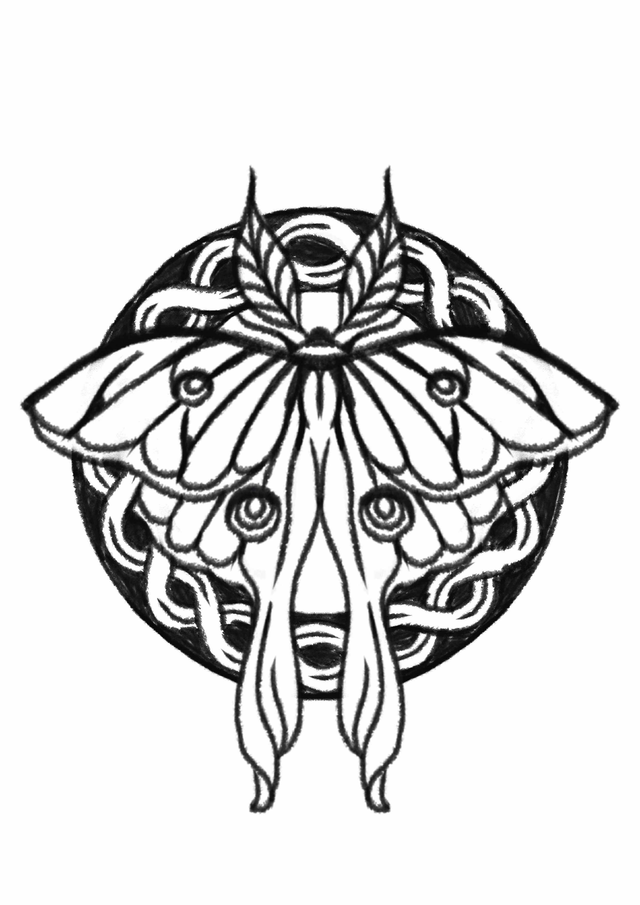 Fundraiser by Ayla Boyle : A Sanctuary for Sober Socialization