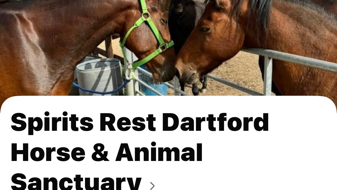 Fundraiser for Stacey Bates by Jan Smith : The Amazing Spirit”s Rest ...