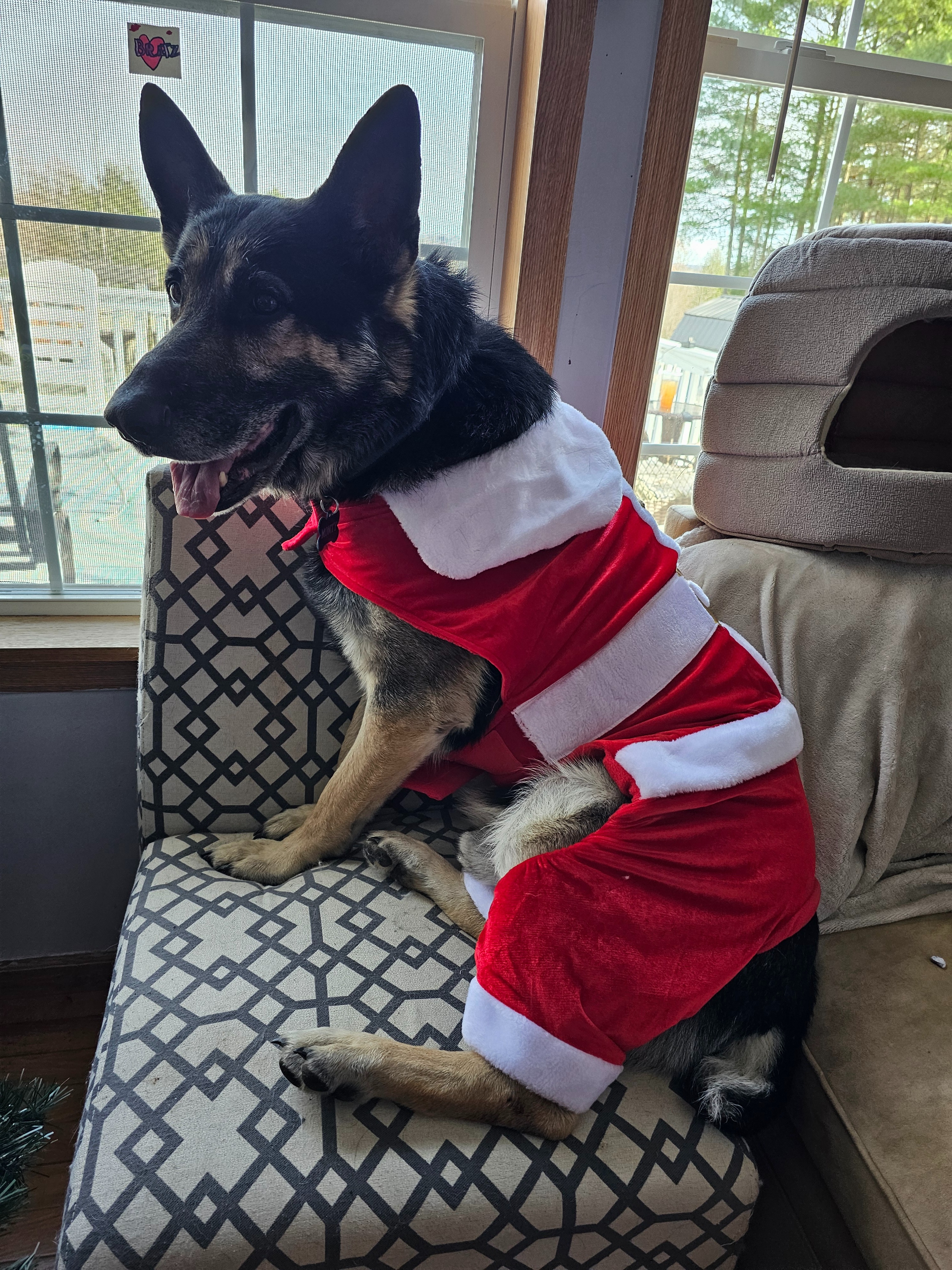 Fundraiser by Lizz Smith- Lewis : Help Montez Get Life-Saving Surgery