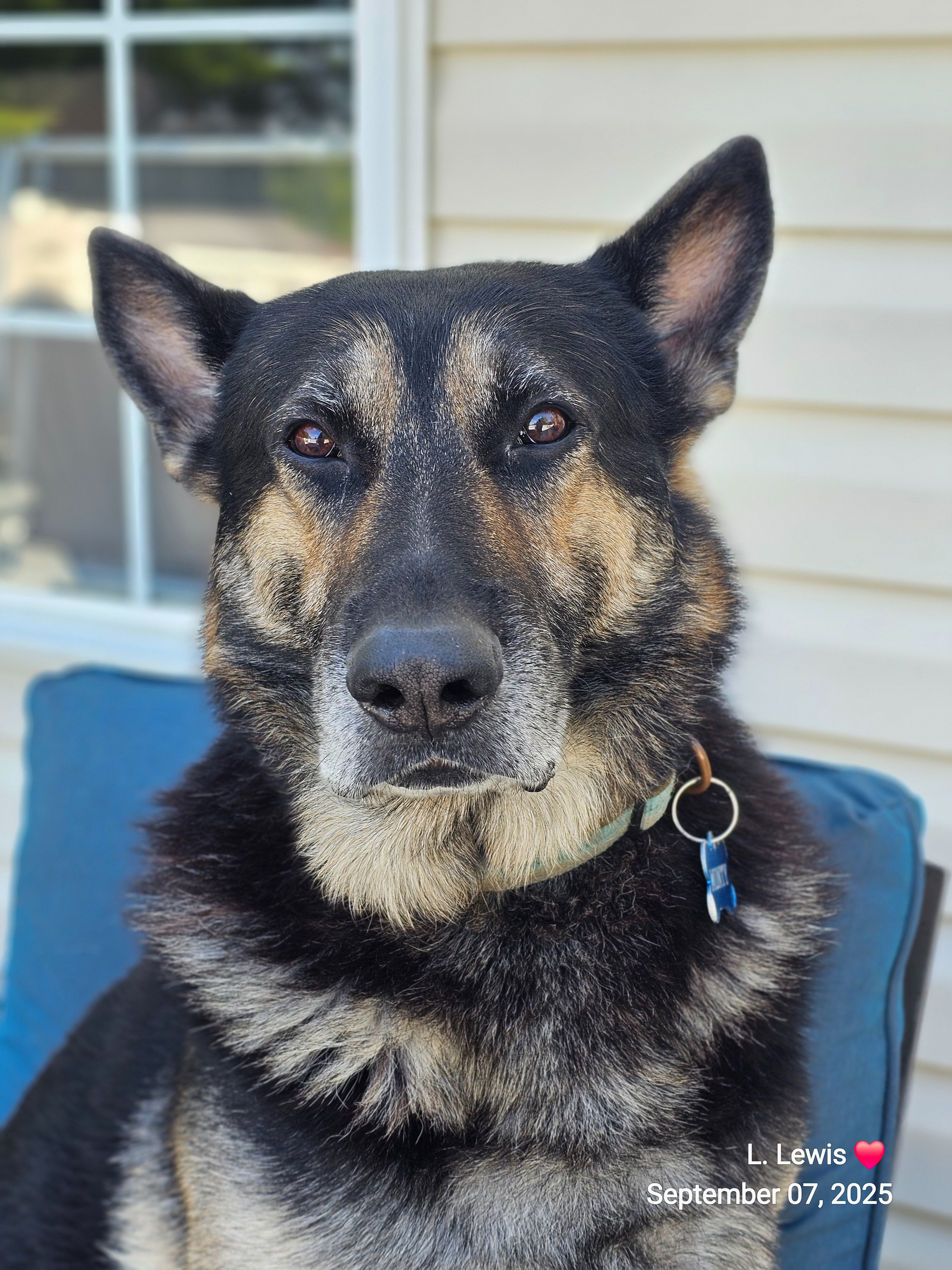 Fundraiser by Lizz Smith- Lewis : Help Montez Get Life-Saving Surgery