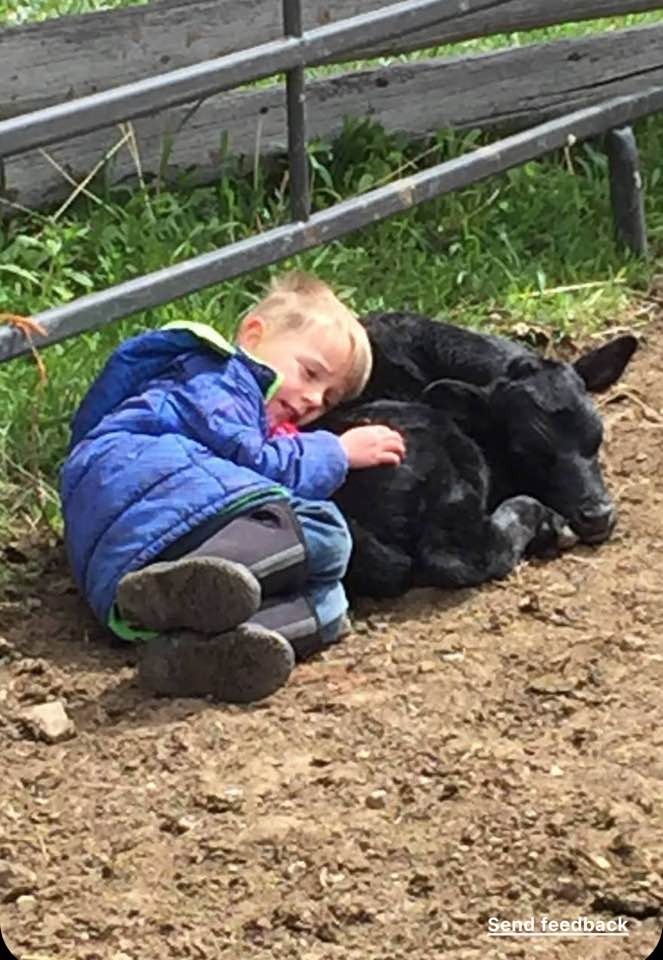 Fundraiser for Jane Larkin by Brandie Boese : Support the Larkin Family ...