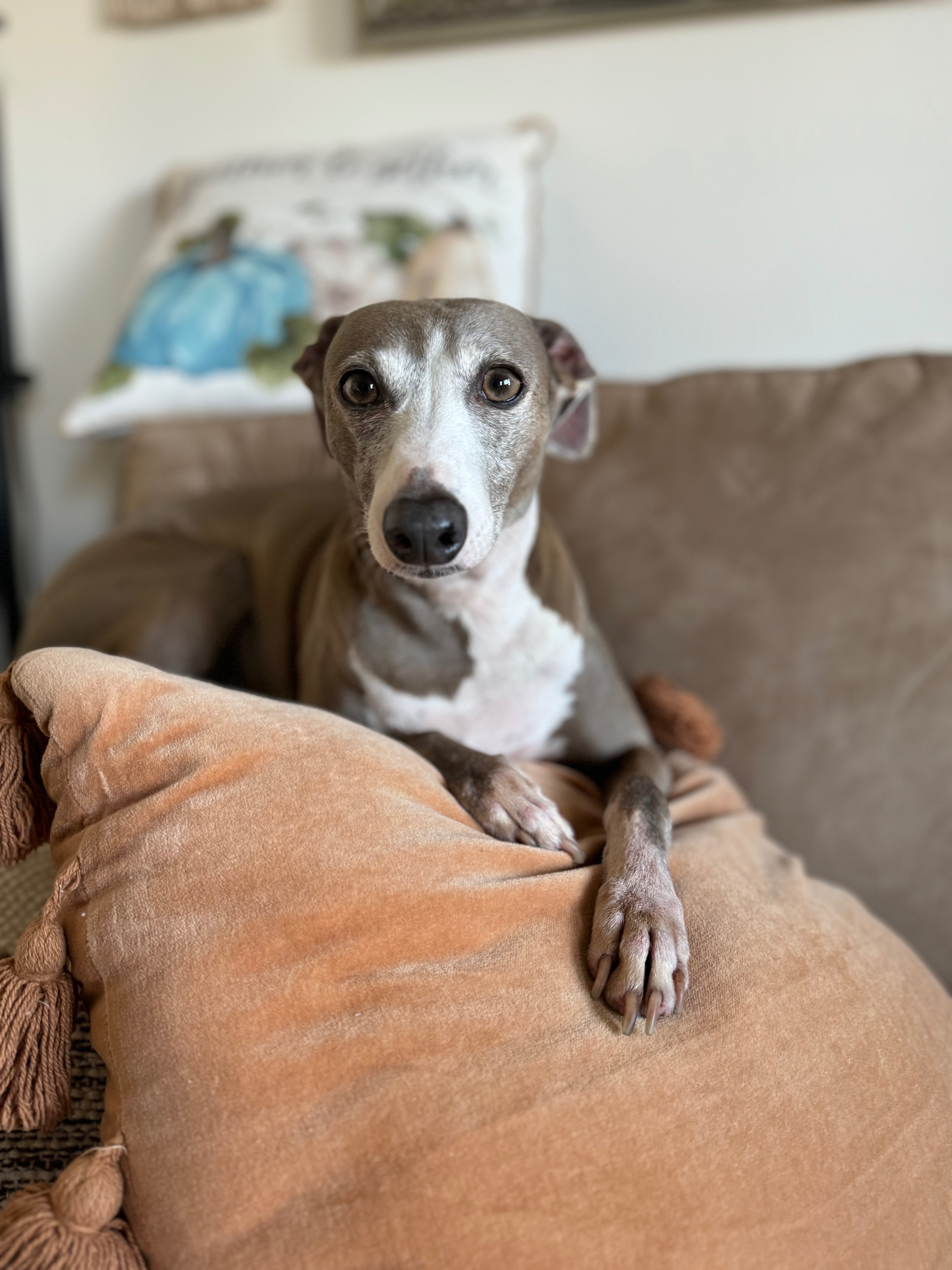 Fundraiser for Rosalee Korte by Elise Caton : Rebuild Hope for Dawn and ...