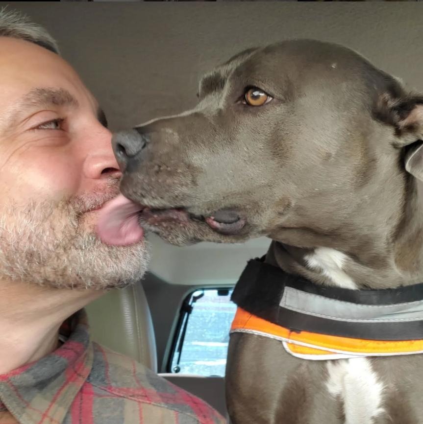 Fundraiser by M W : Help My Sweet Pibble Walk Again