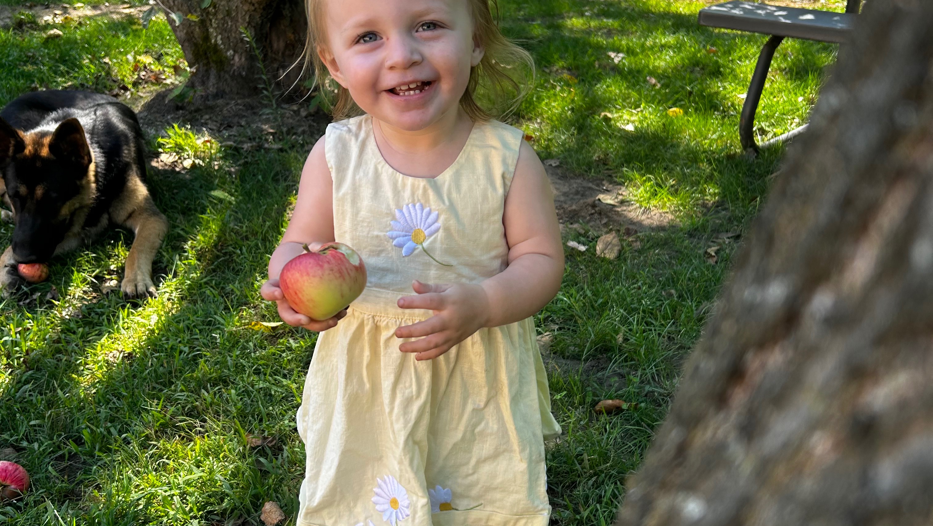 Fundraiser for Alyssa North by Melanie Conrad : Donate to Willow North ...
