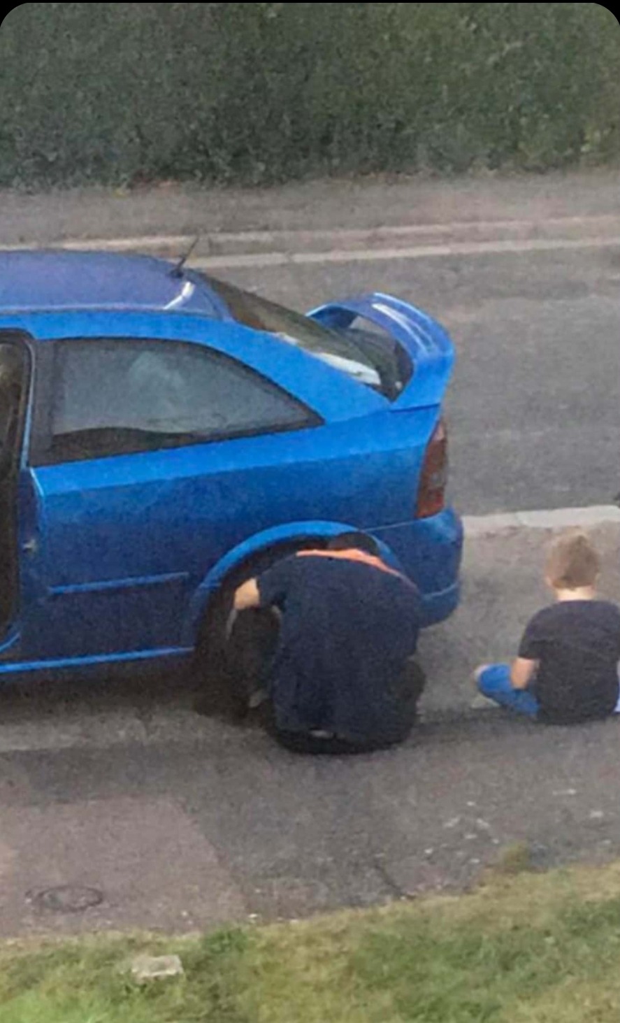 Fundraiser for Carrie Vangucci by Connie Goodall : Help 2 young kids ...