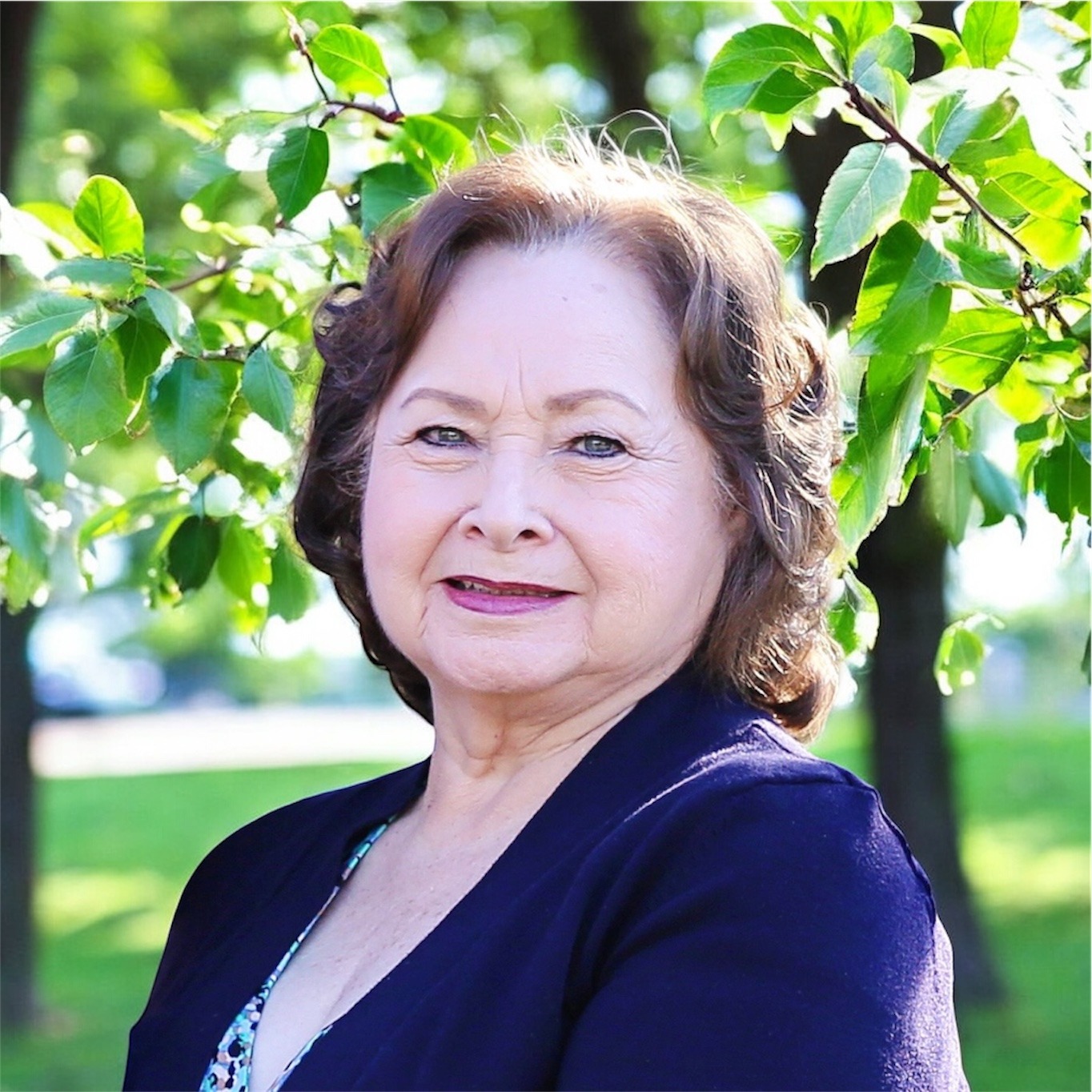 Fundraiser by Lori Simms : Support the Meneses Family in Their Time of Loss