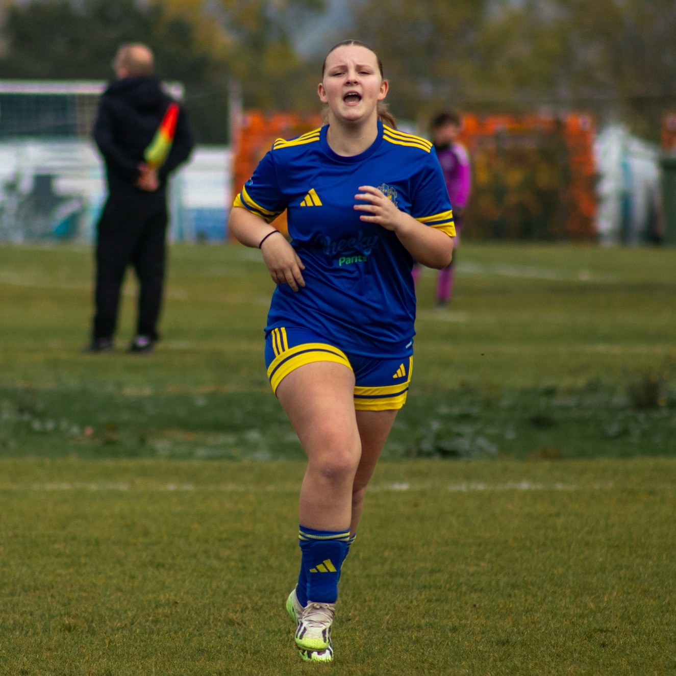 Fundraiser by AJ Silver : 13 year old ACL recovery