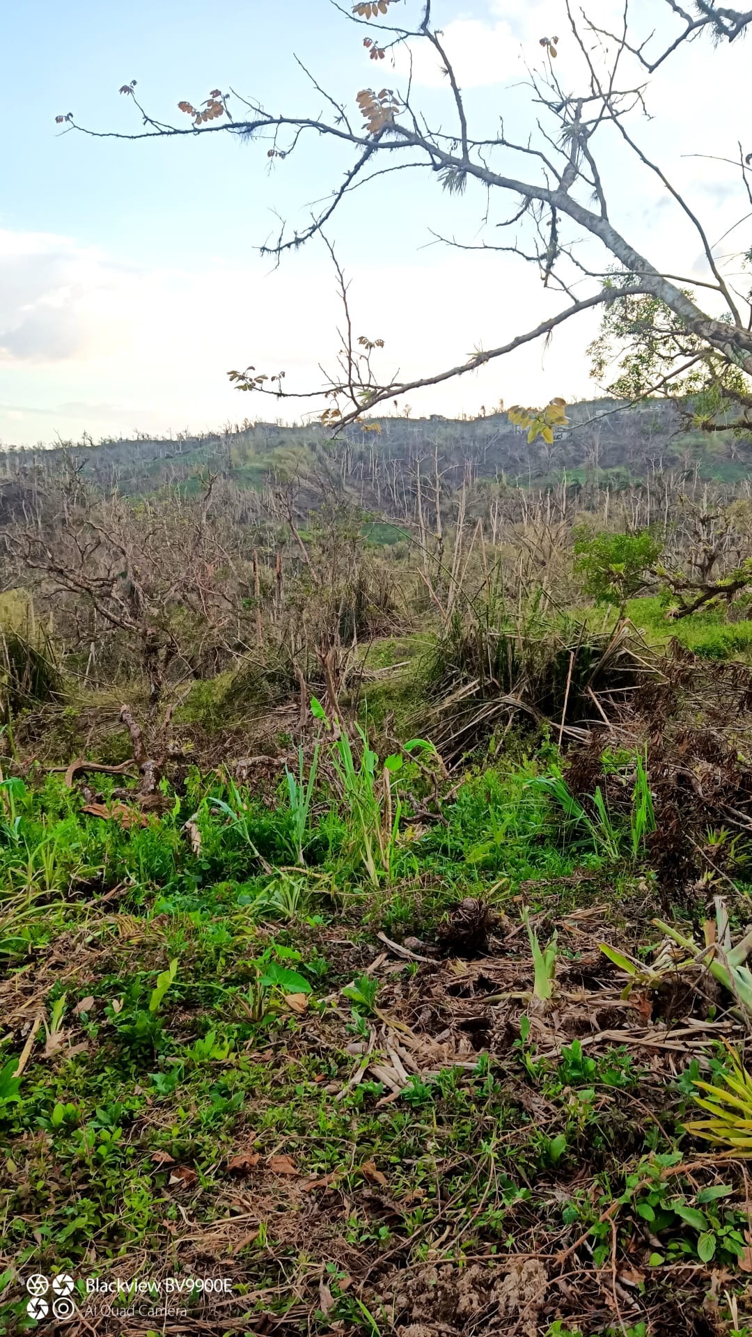 Fundraiser by Julia Linder : Support Local Farmers in Amity After ...