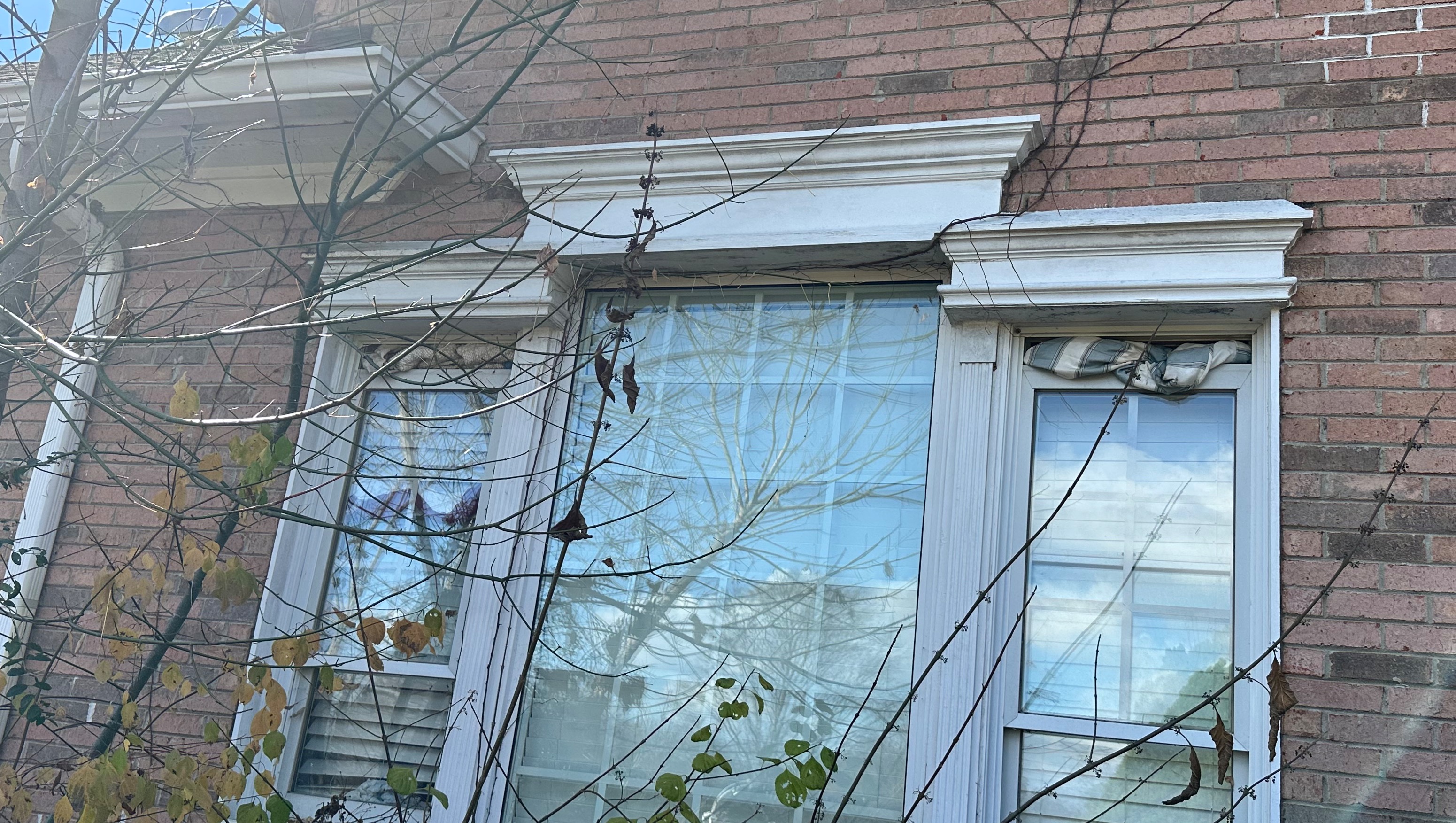 Fundraiser by Sherry Webb : Help Restore L.F.'s Home and Hope