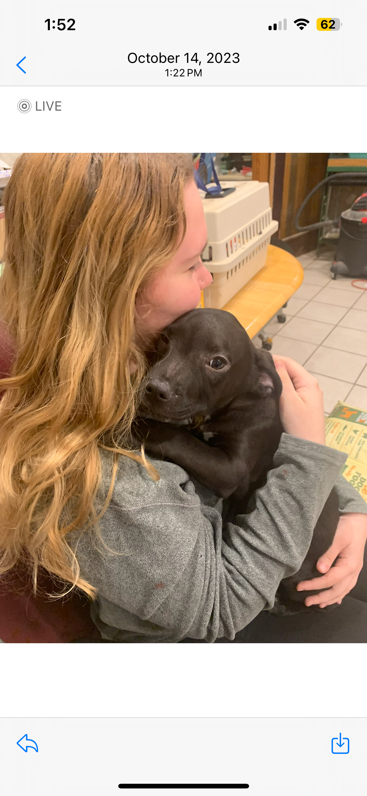 Fundraiser for Colleen Pulver by Jordan Delorimier : Support a Grieving ...