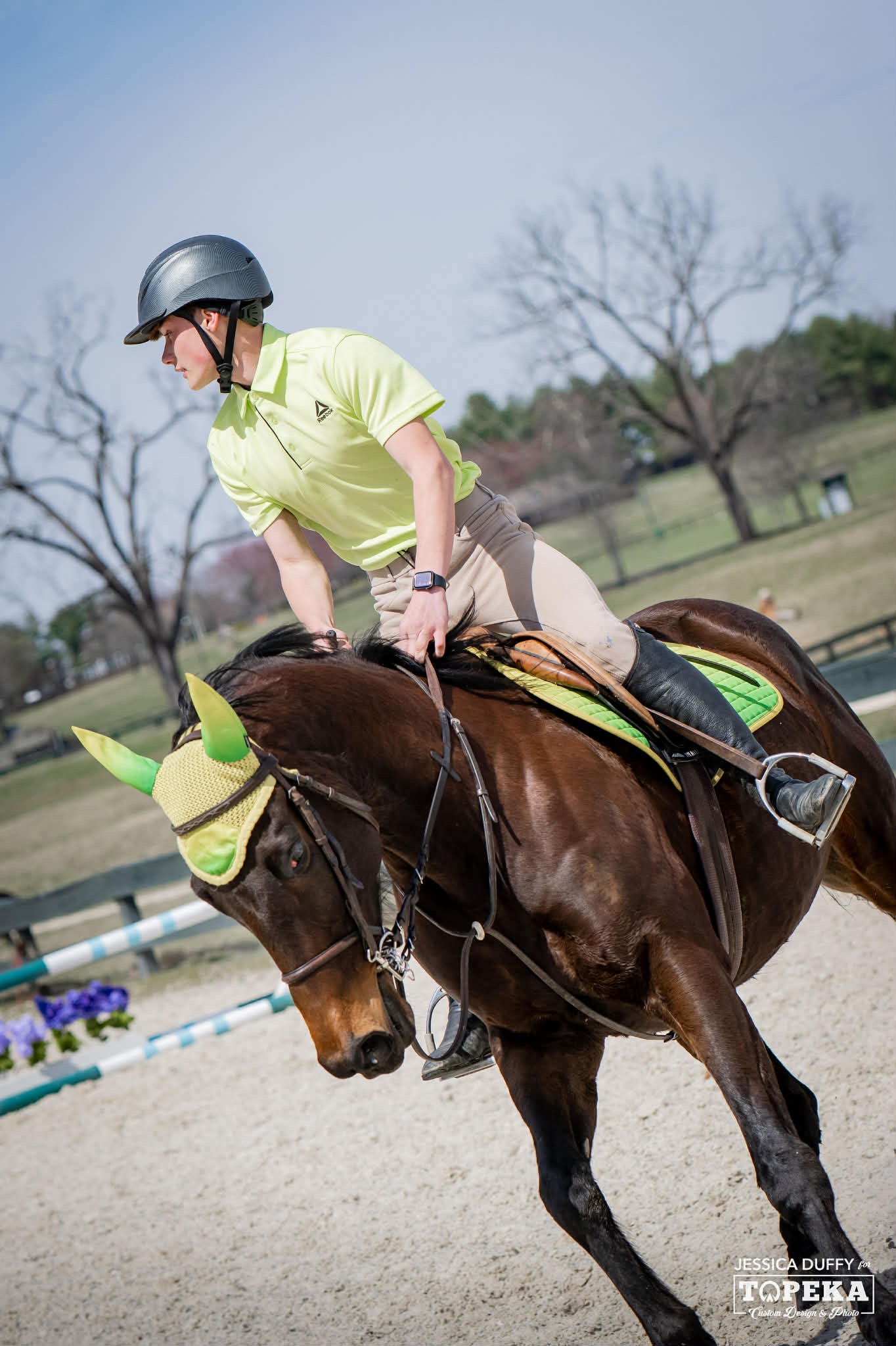 Fundraiser for Crystal Rothgeb by Kimberly DeVoll : Save Tinkerbell ...