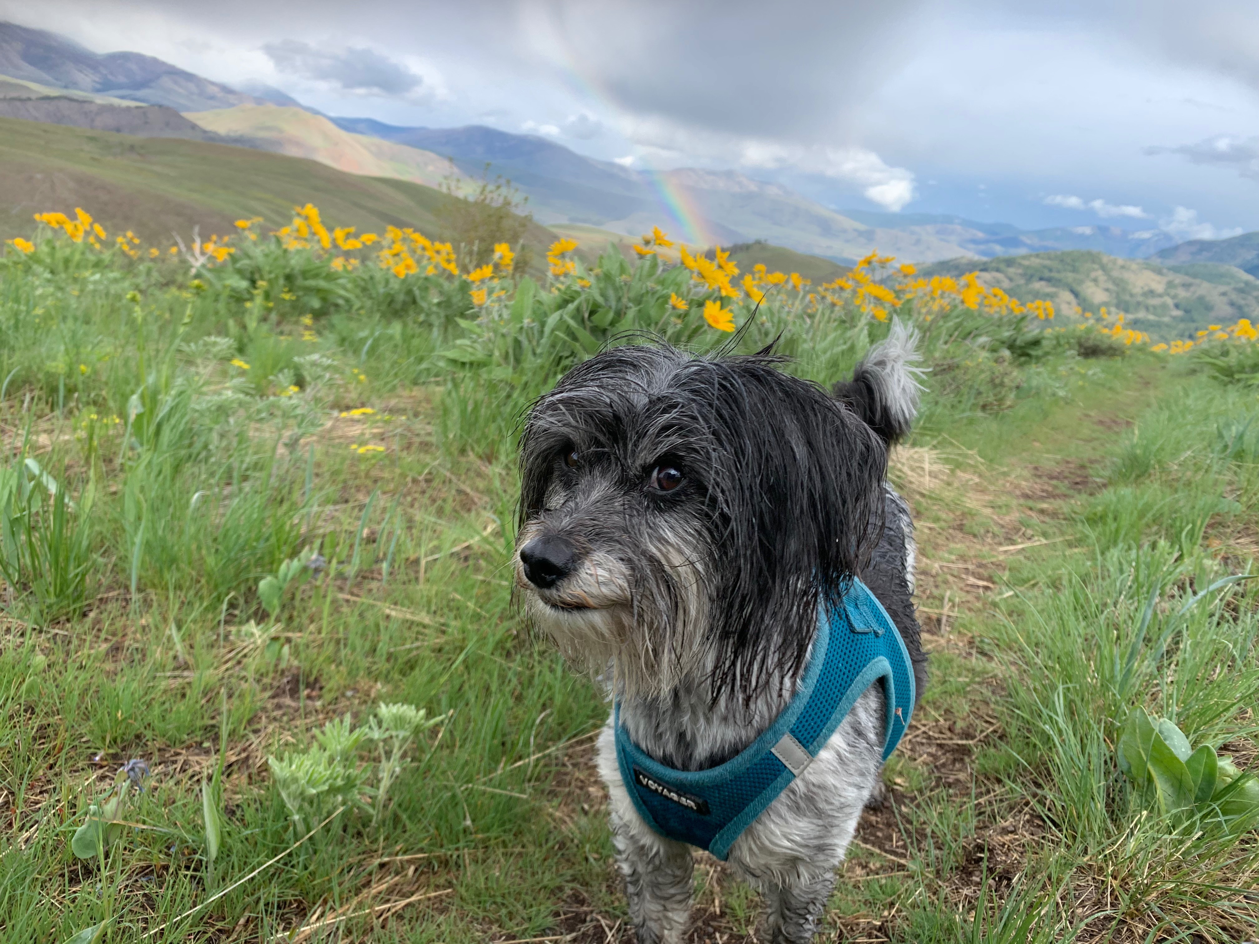 Fundraiser for Christina McCrea by Grace Sk : Help Ease Tina and Bill’s Medical Hardship