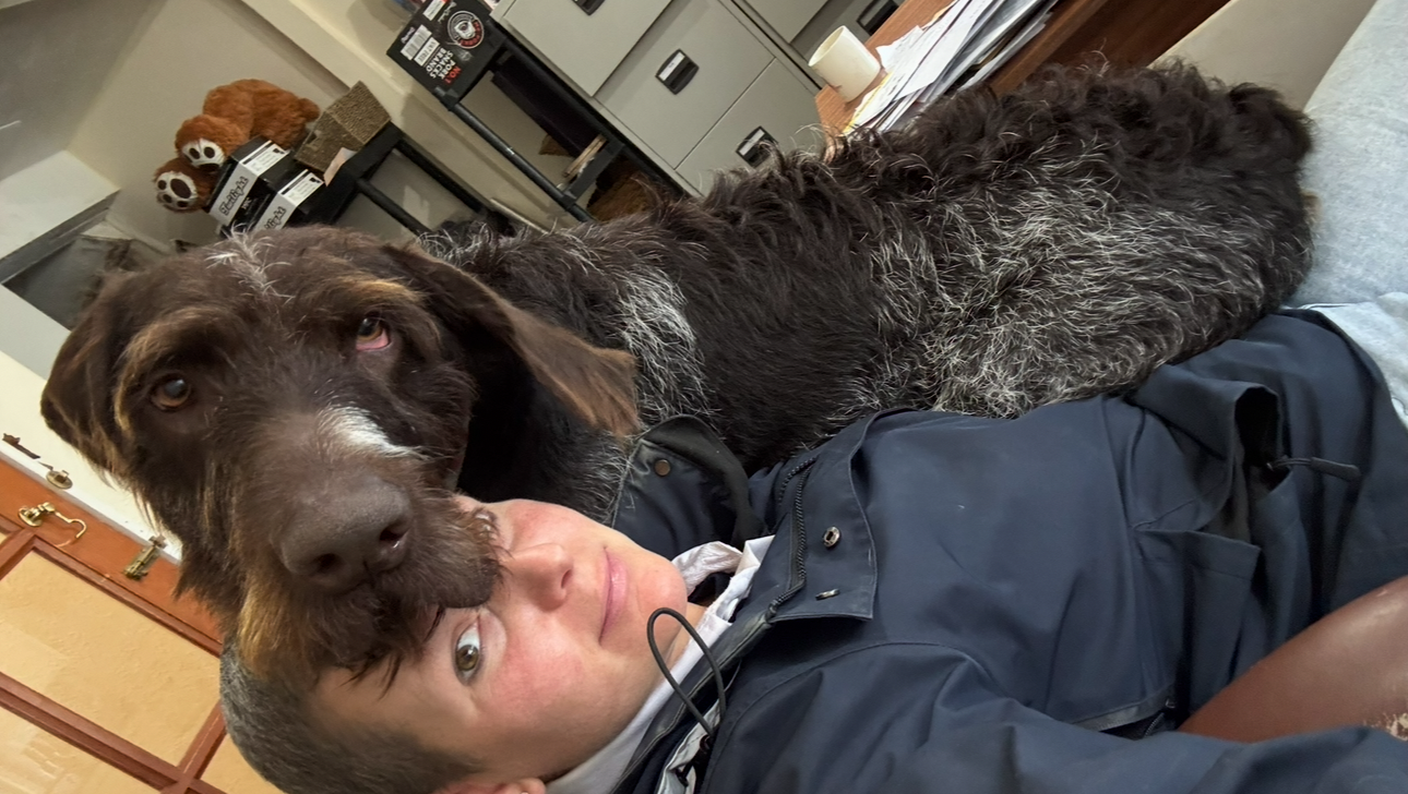 Fundraiser by Jenine Williams : Help Us Cover Bernie’s Life-Saving ...