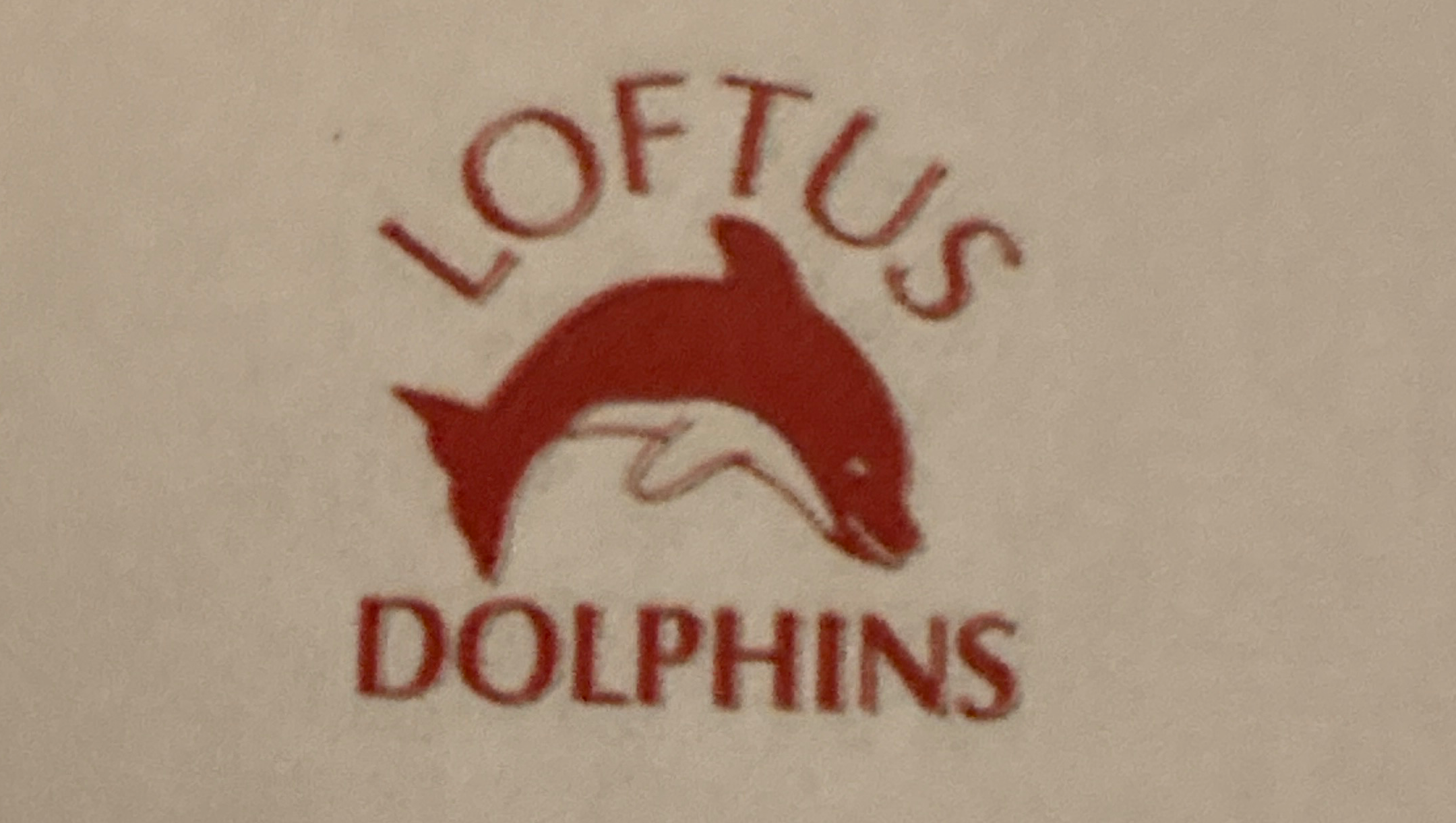 Fundraiser by Alan Callcutt : Boxing Day Dip for Loftus Dolphins
