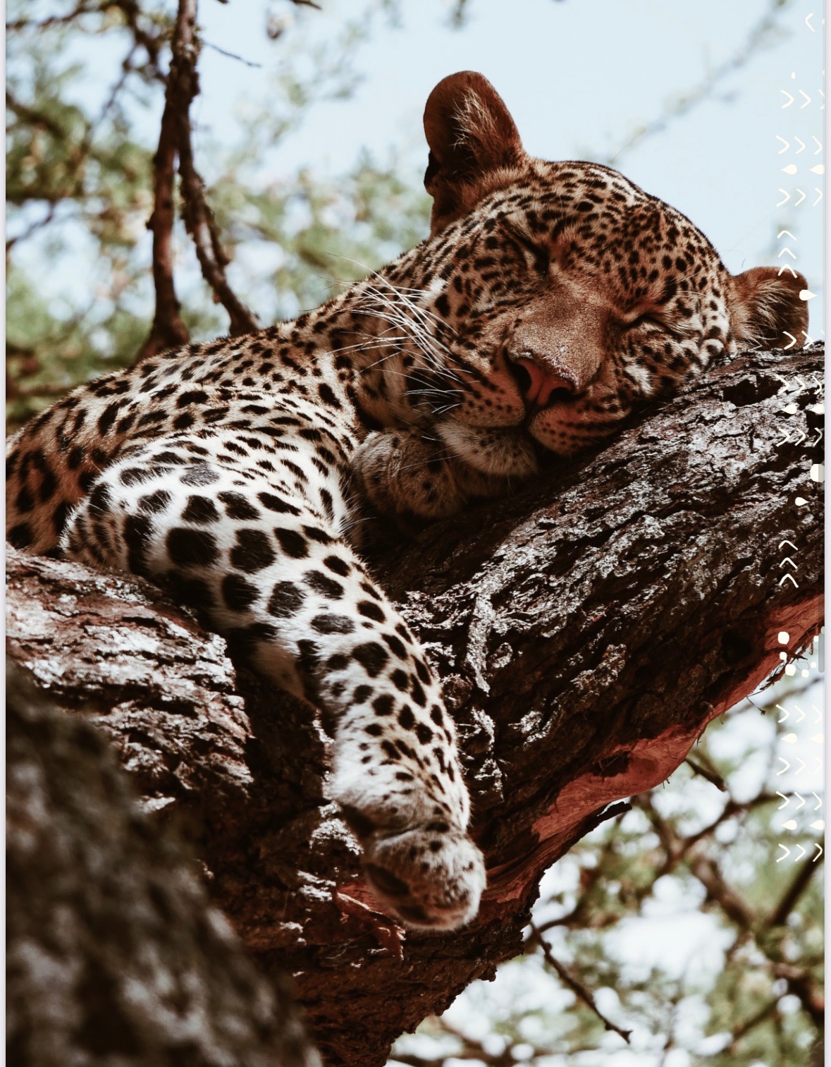 Fundraiser by Amy Roche : Hannah’s trip to Tanzania 2027