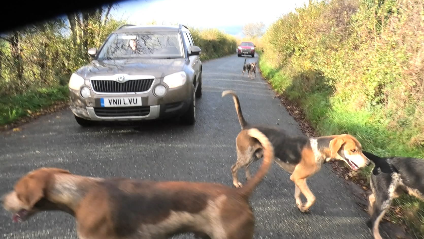 Fundraiser by North Dorset Hunt Saboteurs : Help us fix the sab wagon!