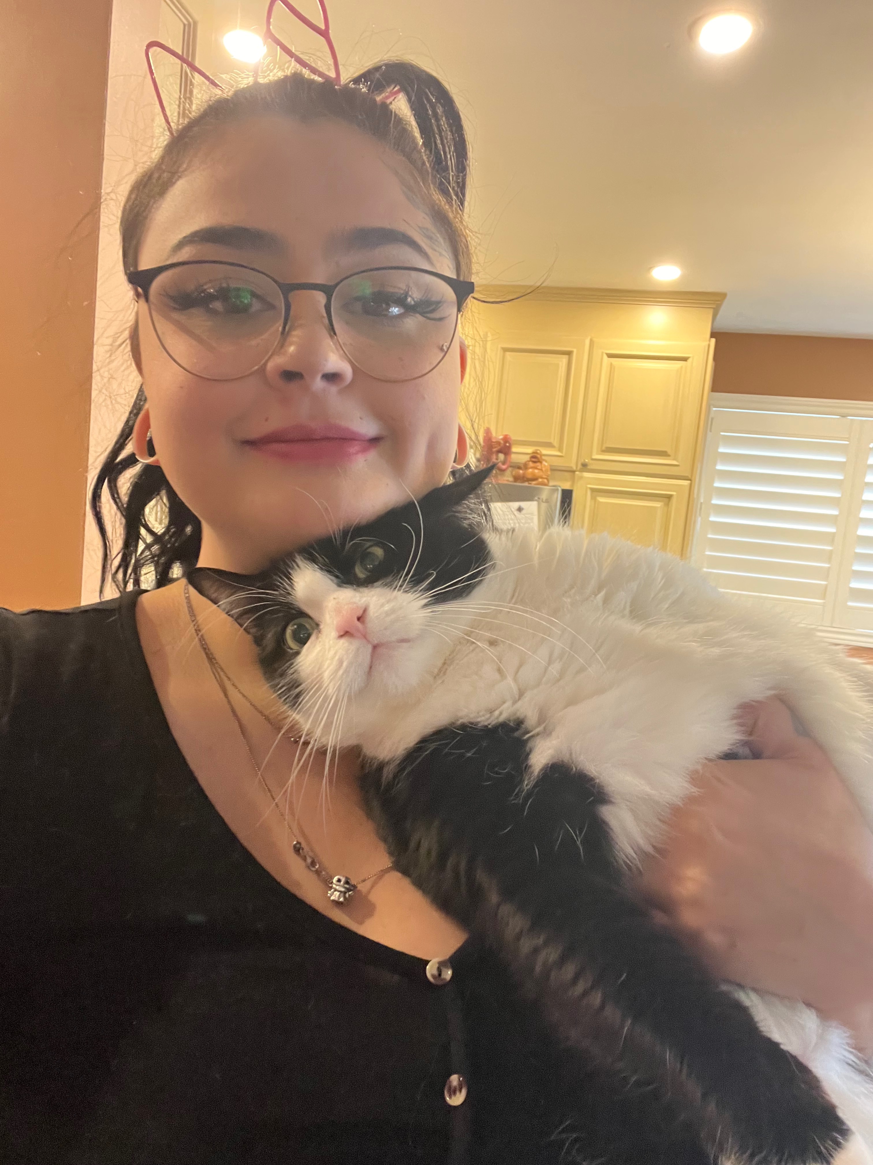 Fundraiser by Taylor Faulk : Help Us Save Salt – Our Sweet Girl Needs ...