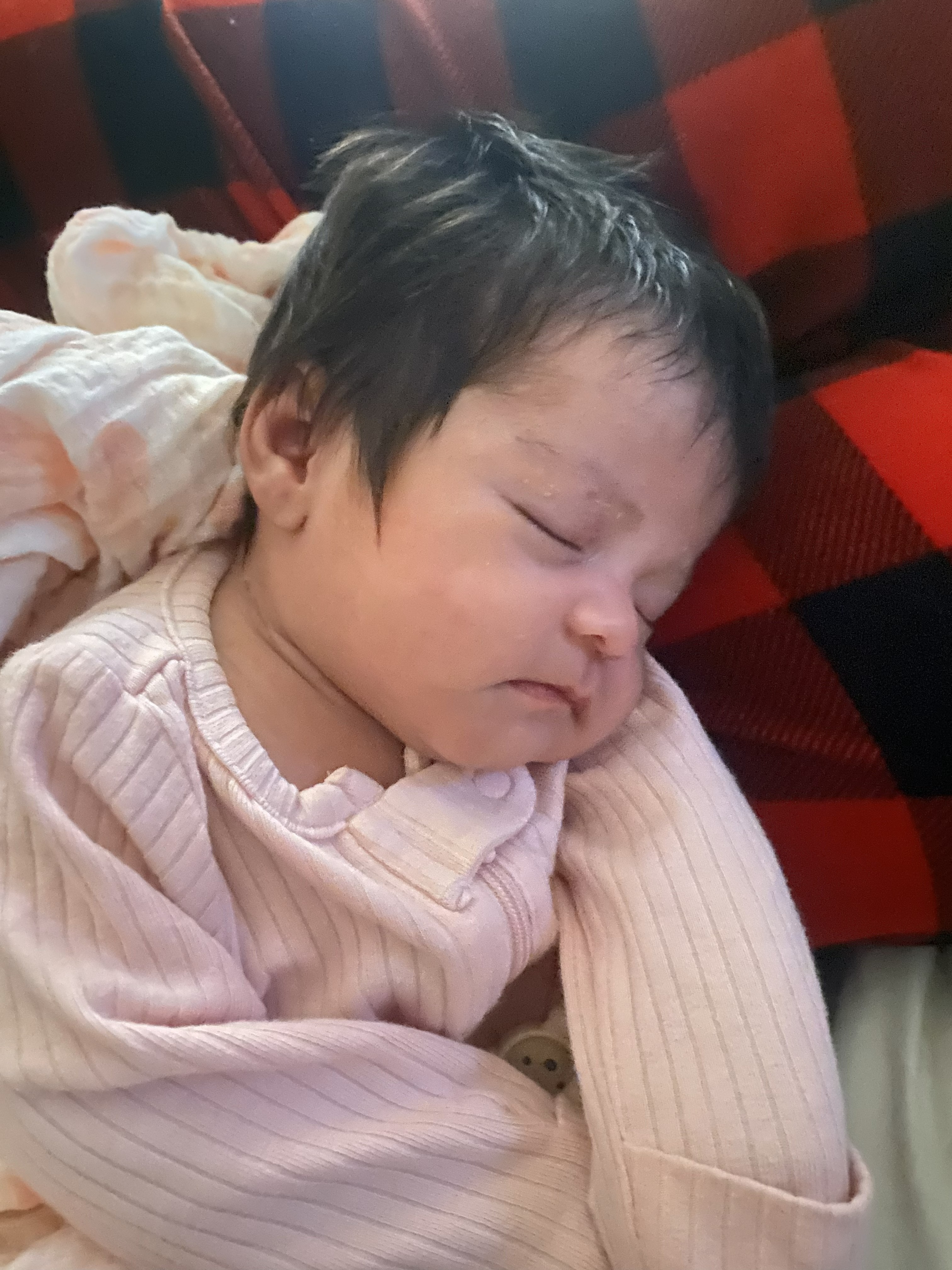 Fundraiser by Celeste Leeson : Support for Angelina, Matthew & Their 5 ...