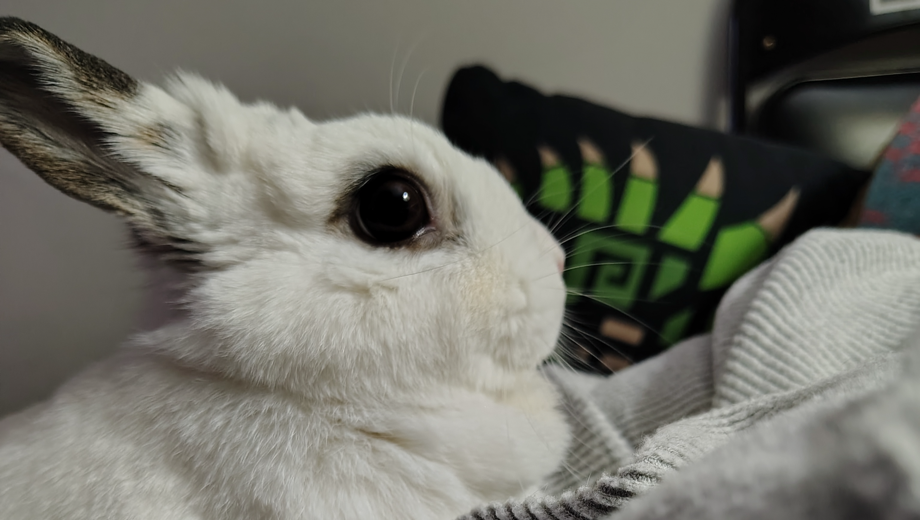 Fundraiser by Idalia Neto-Vélez : Support Princess Snow's Happily Ever ...
