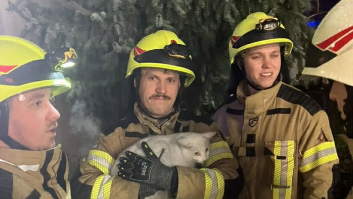 Fundraiser by Daniela Althofer : Tierarztkosten nach Brand