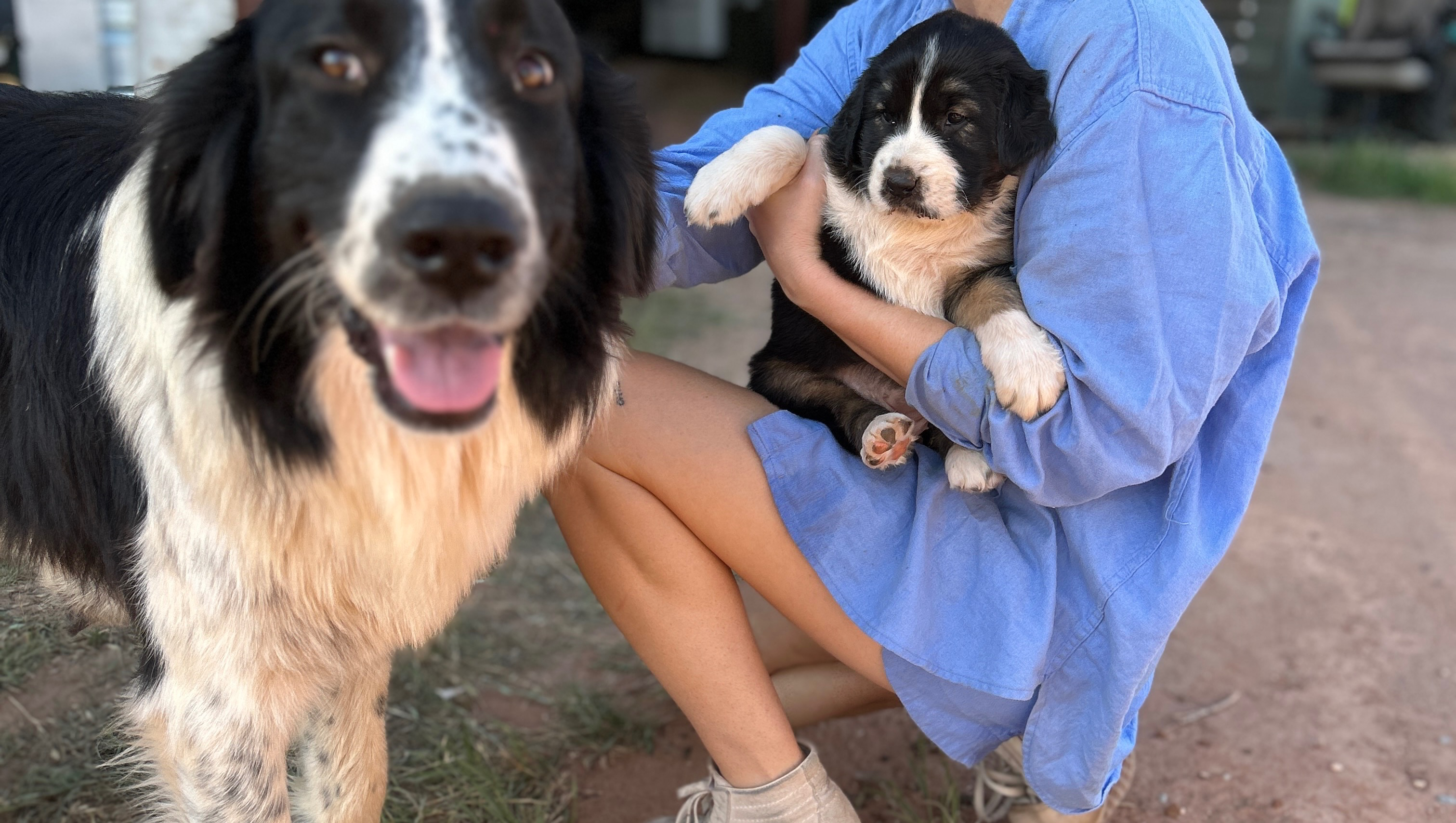Fundraiser by Marie McNally : Help Marie Keep Her Home and Floral Dream ...