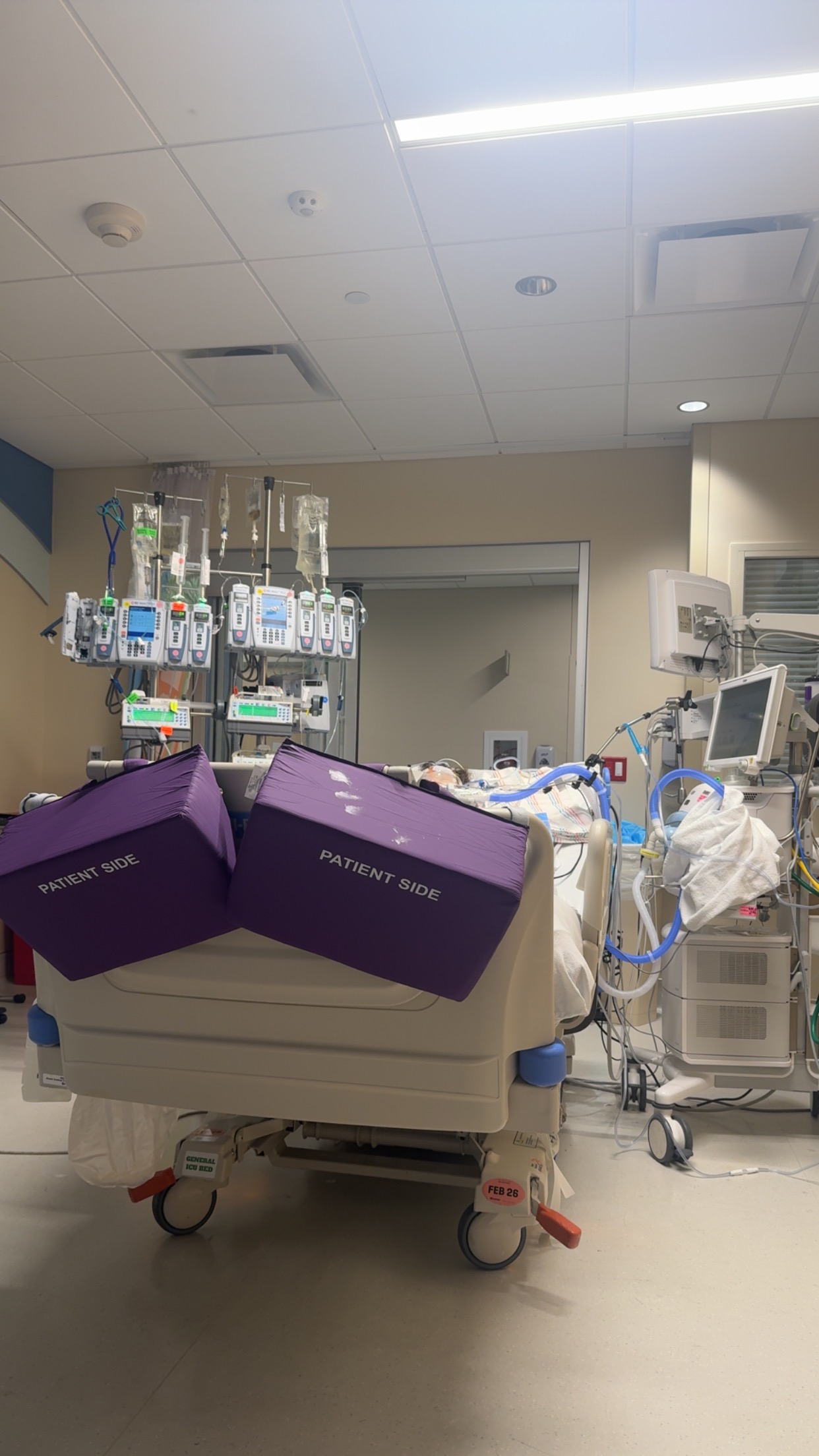 Fundraiser by Michaela Guevara : Help support Amaya and family through this tough time