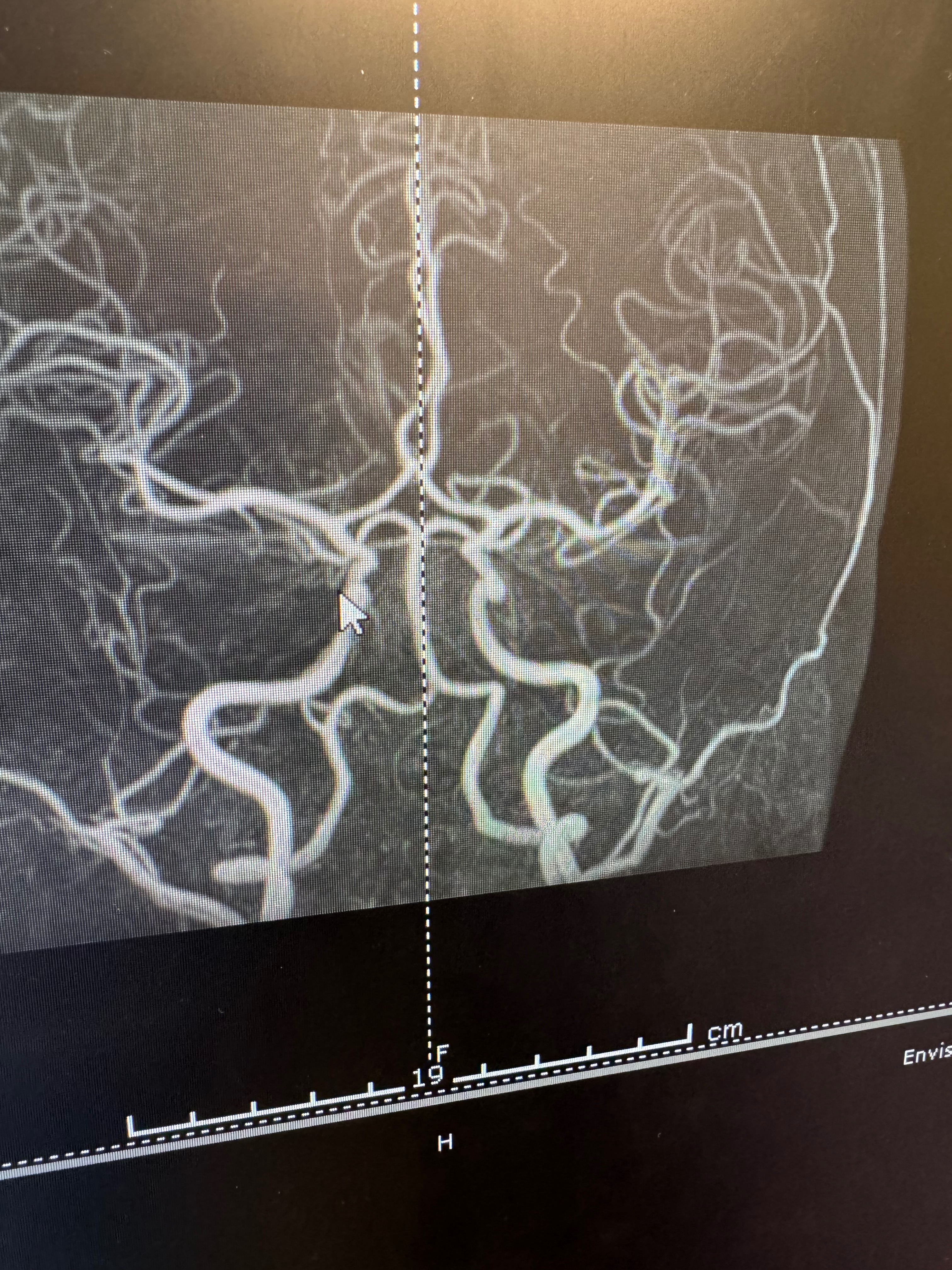 Fundraiser by Stephanie Alvarado : Help Stephanie and Her Kids Through ...