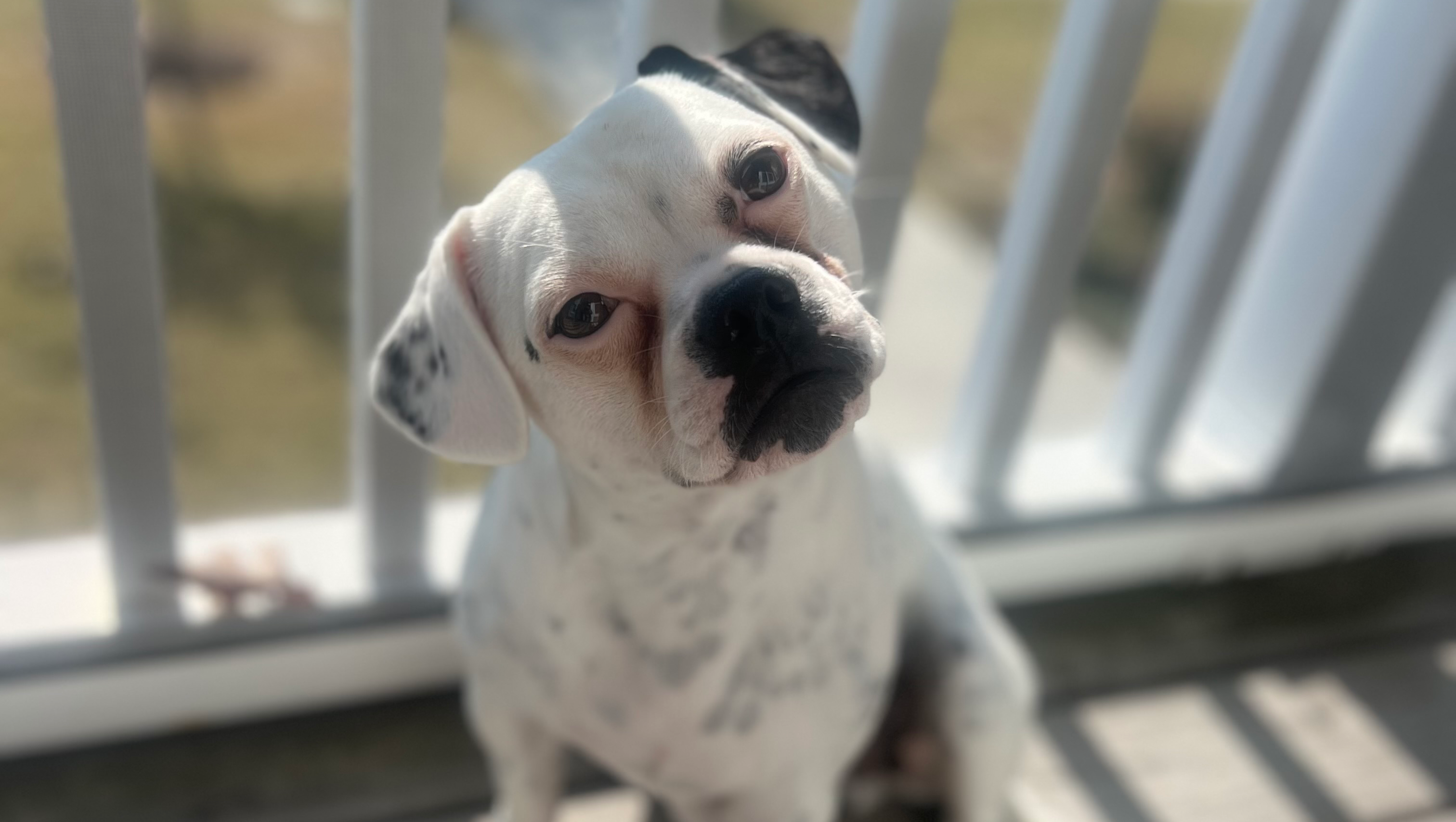 Fundraiser by Josh Carter : Help Josh Carter Rebuild After Car Theft