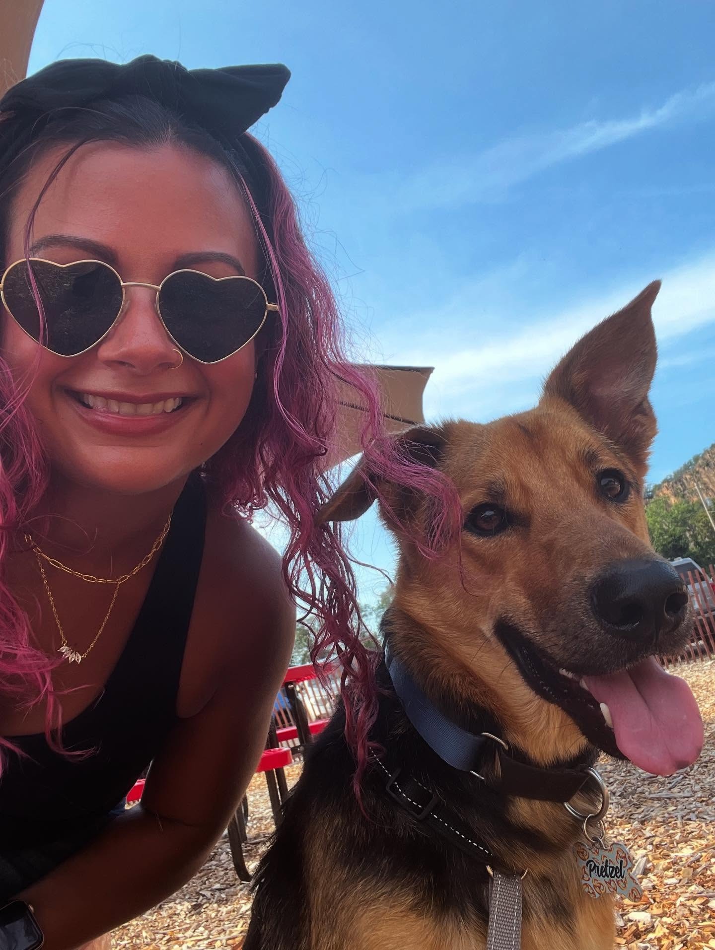 Fundraiser for Susan Abreu by Morgan Esposito : Support Pretzel's Surgery and Recovery