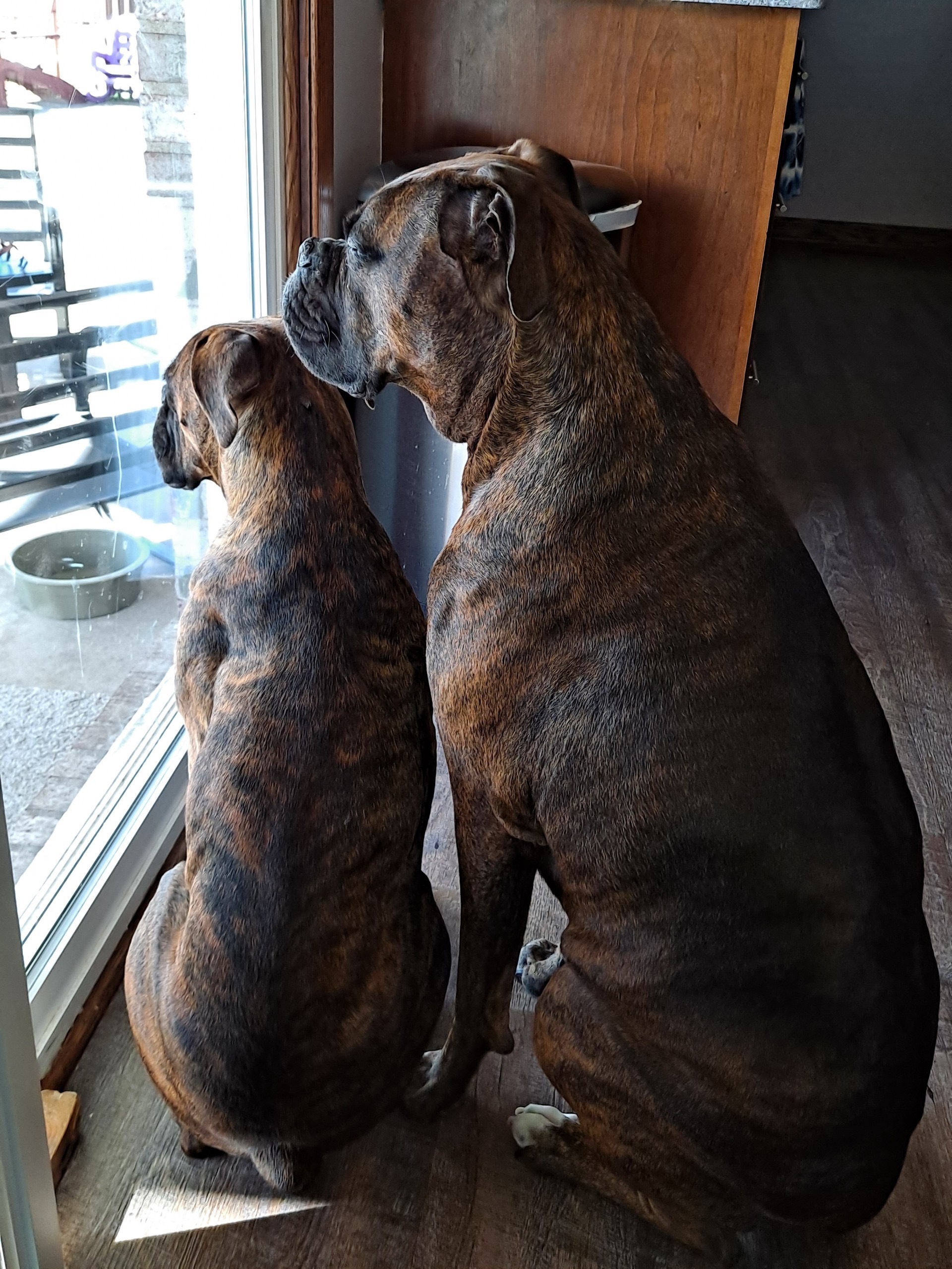 Fundraiser by Sara Garofalo : Support Tim and Cheri After Tragic Fire