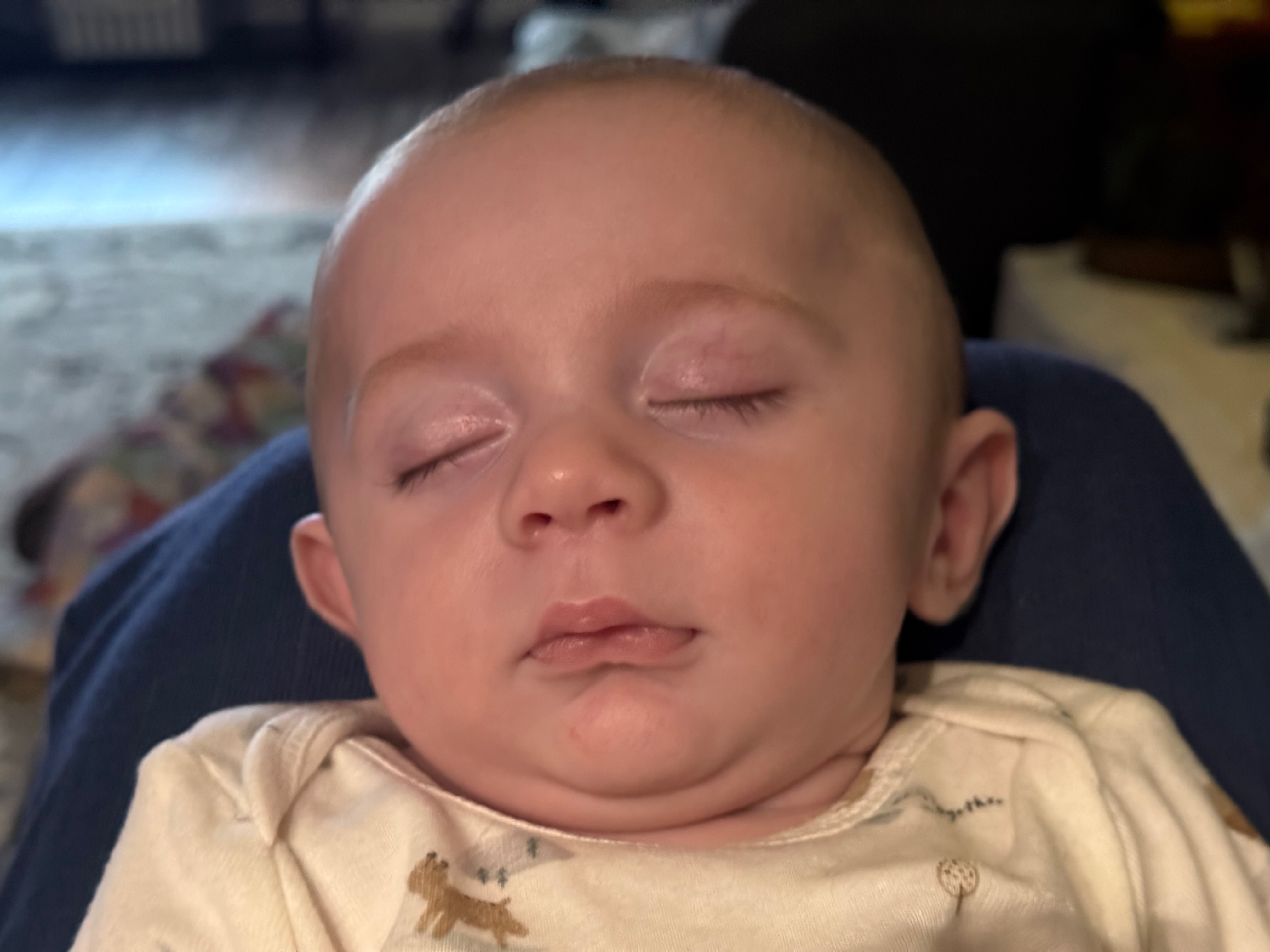 Fundraiser by Tina Thomas : In Memory of Auggie: Support Needed