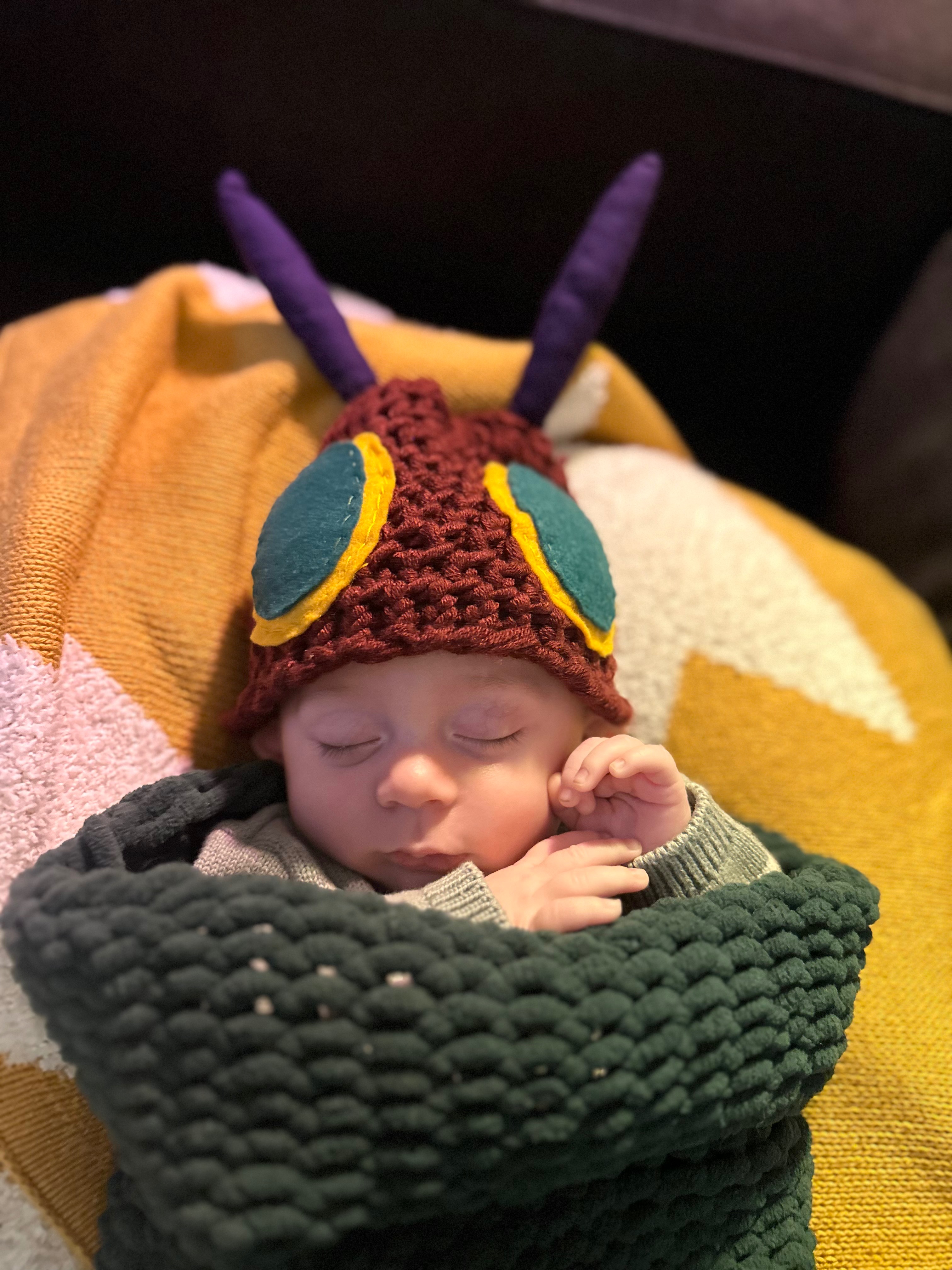 Fundraiser by Tina Thomas : In Memory of Auggie: Support Needed