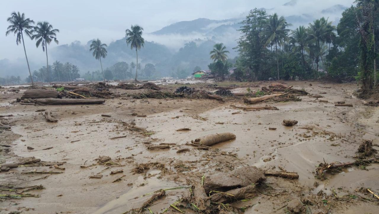 Fundraiser by Orangutan Odysseys : URGENT: ACEH, SUMATRA CYCLONE & FLOOD EMERGENCY APPEAL