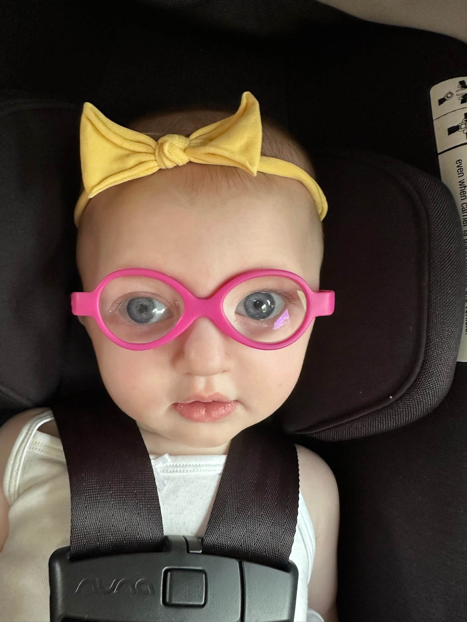 Fundraiser by James Alt : Callie Loves Love 5k: Honoring Callie’s Legacy