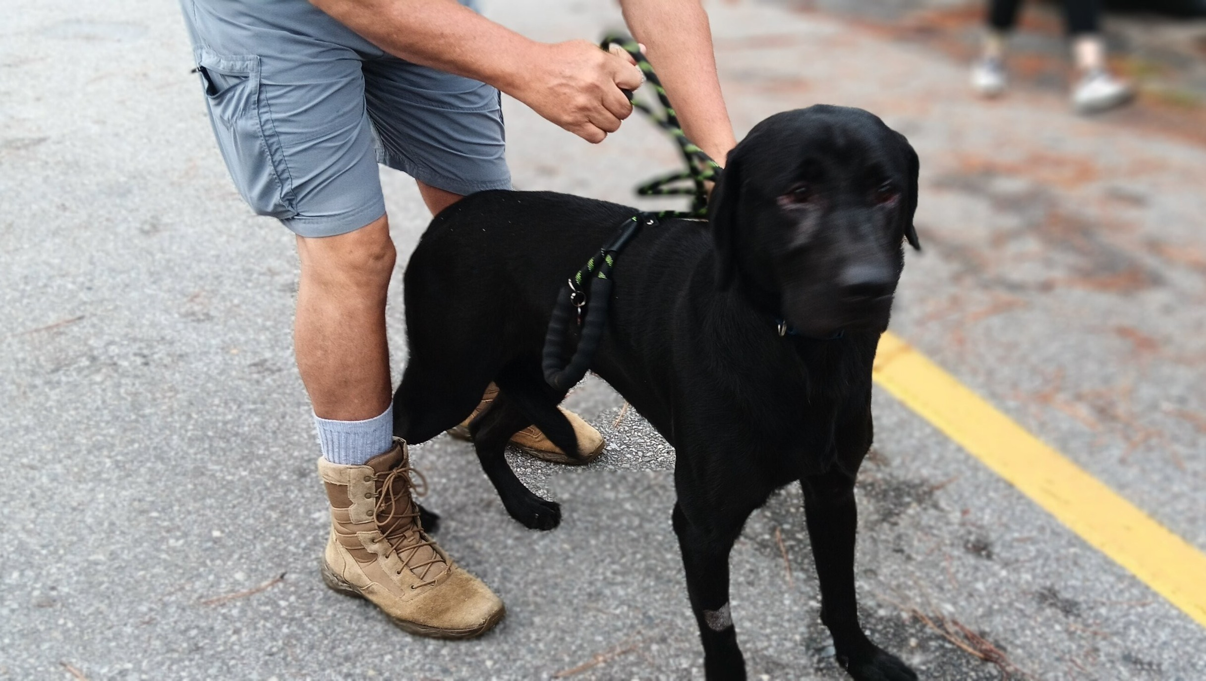 Fundraiser by Marcia Bruce : Support Help Four Paws, Inc.'s Mission