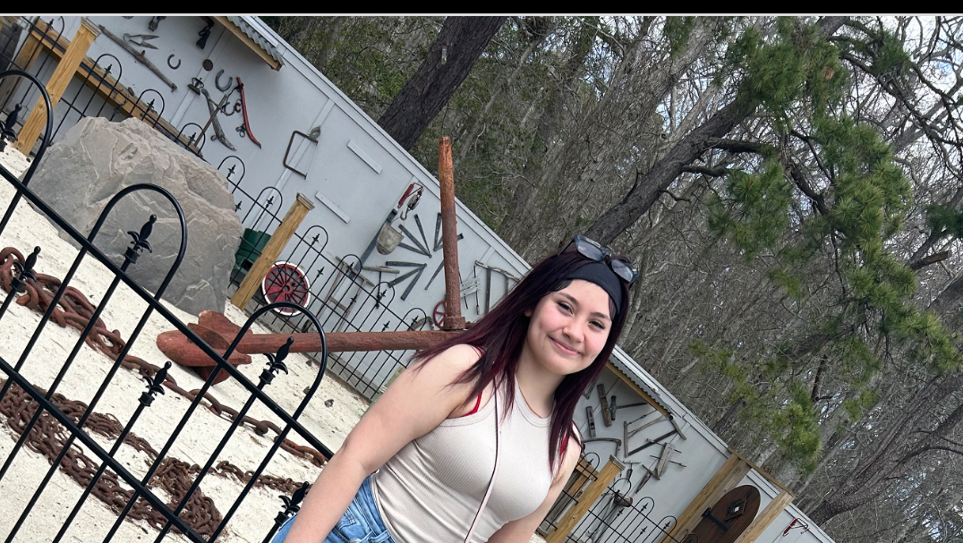 Fundraiser by Deborah Mc Laughlin : Aid Sophia's Recovery and Family Needs