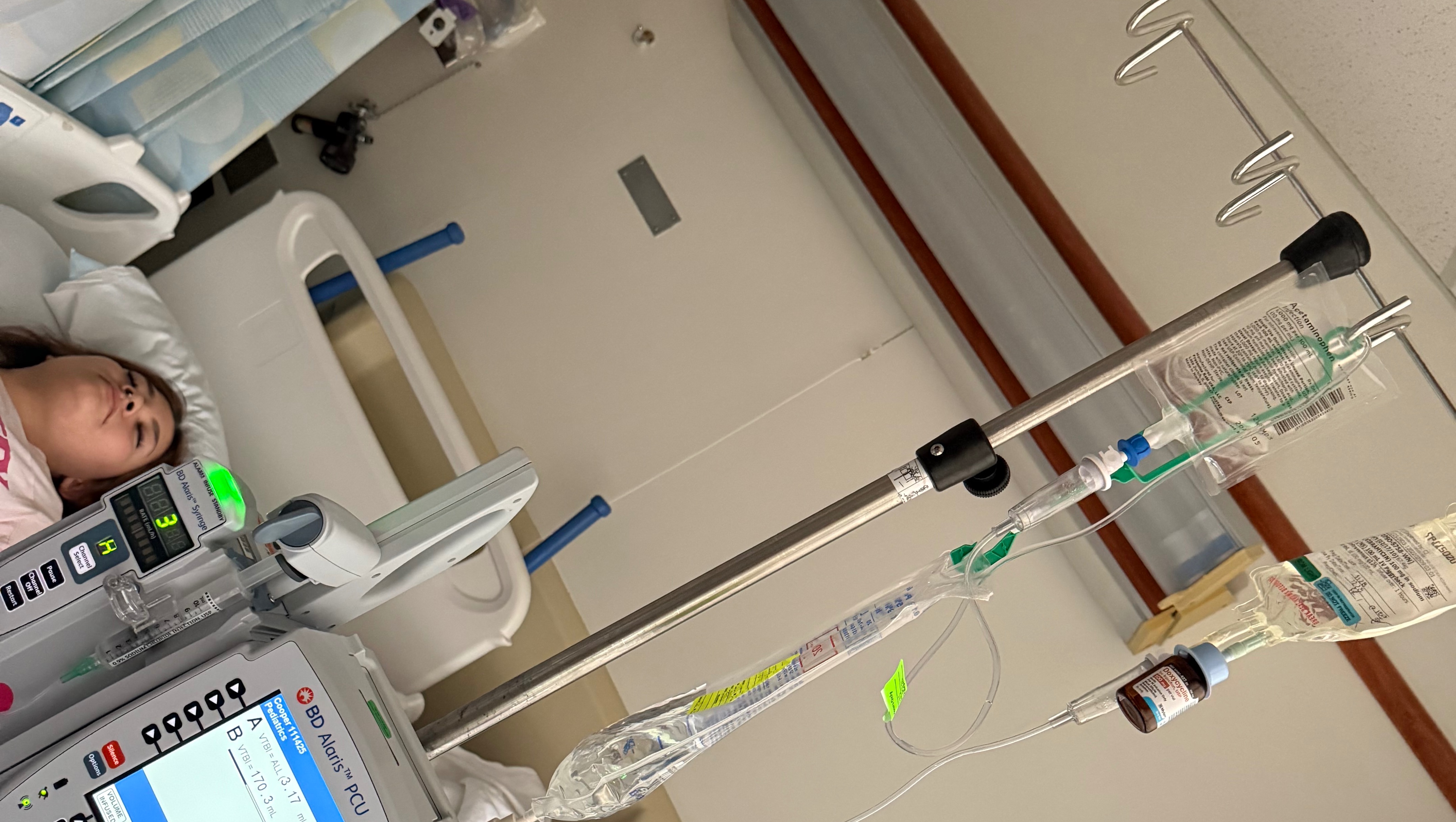 Fundraiser by Deborah Mc Laughlin : Aid Sophia's Recovery and Family Needs