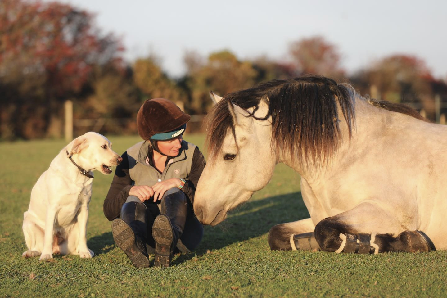 Fundraiser by Emma Massingale : Help Bring Our Next Animal Adventure ...