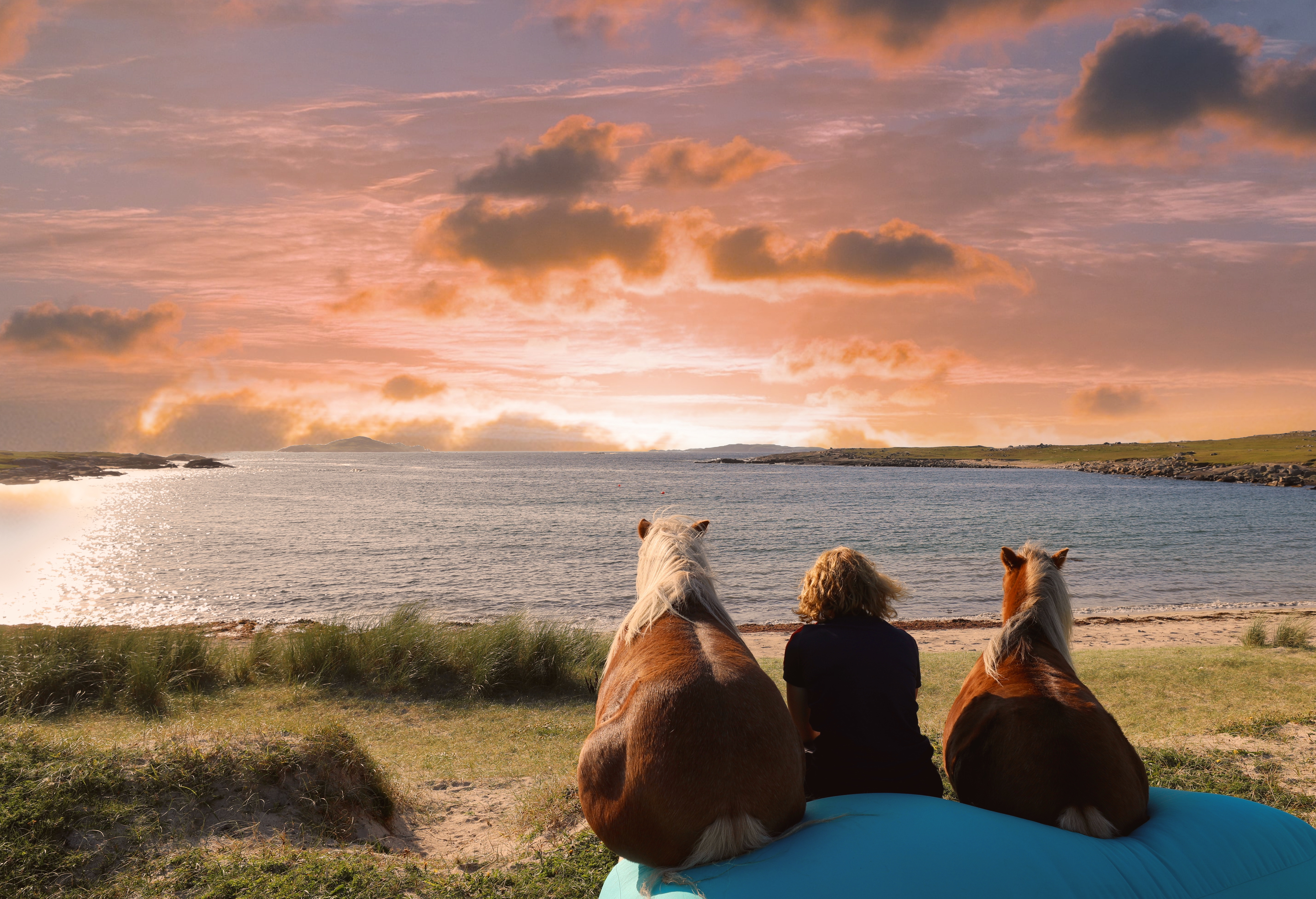 Fundraiser by Emma Massingale : Help Bring Our Next Animal Adventure ...