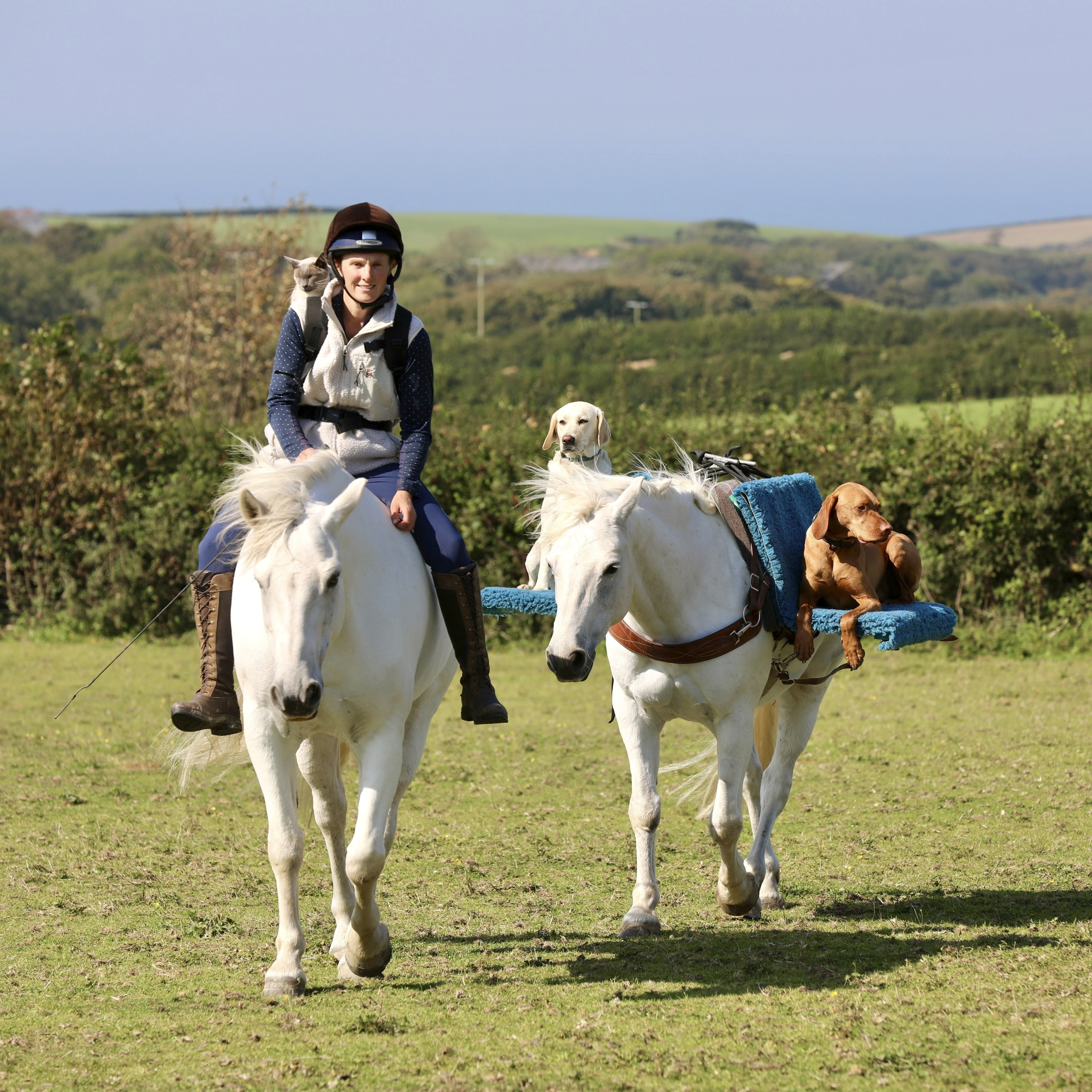 Fundraiser by Emma Massingale : Help Bring Our Next Animal Adventure ...