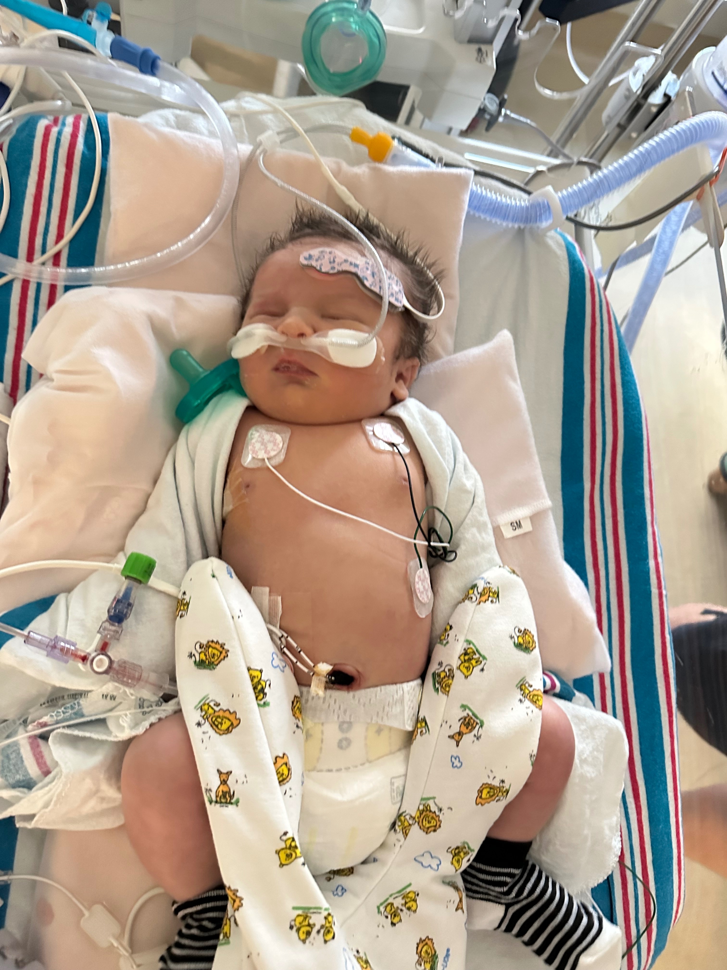 Fundraiser by Katherine ONeill : Support Nolan and his fight against heart disease