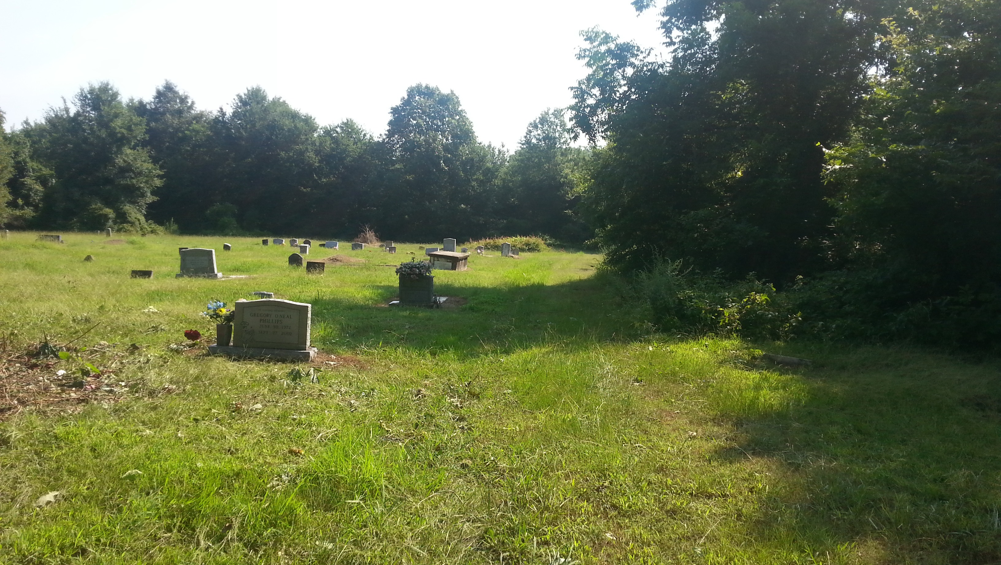 Fundraiser by JOHNETTA DILLARD : Preserve Davis Cemetery’s Legacy