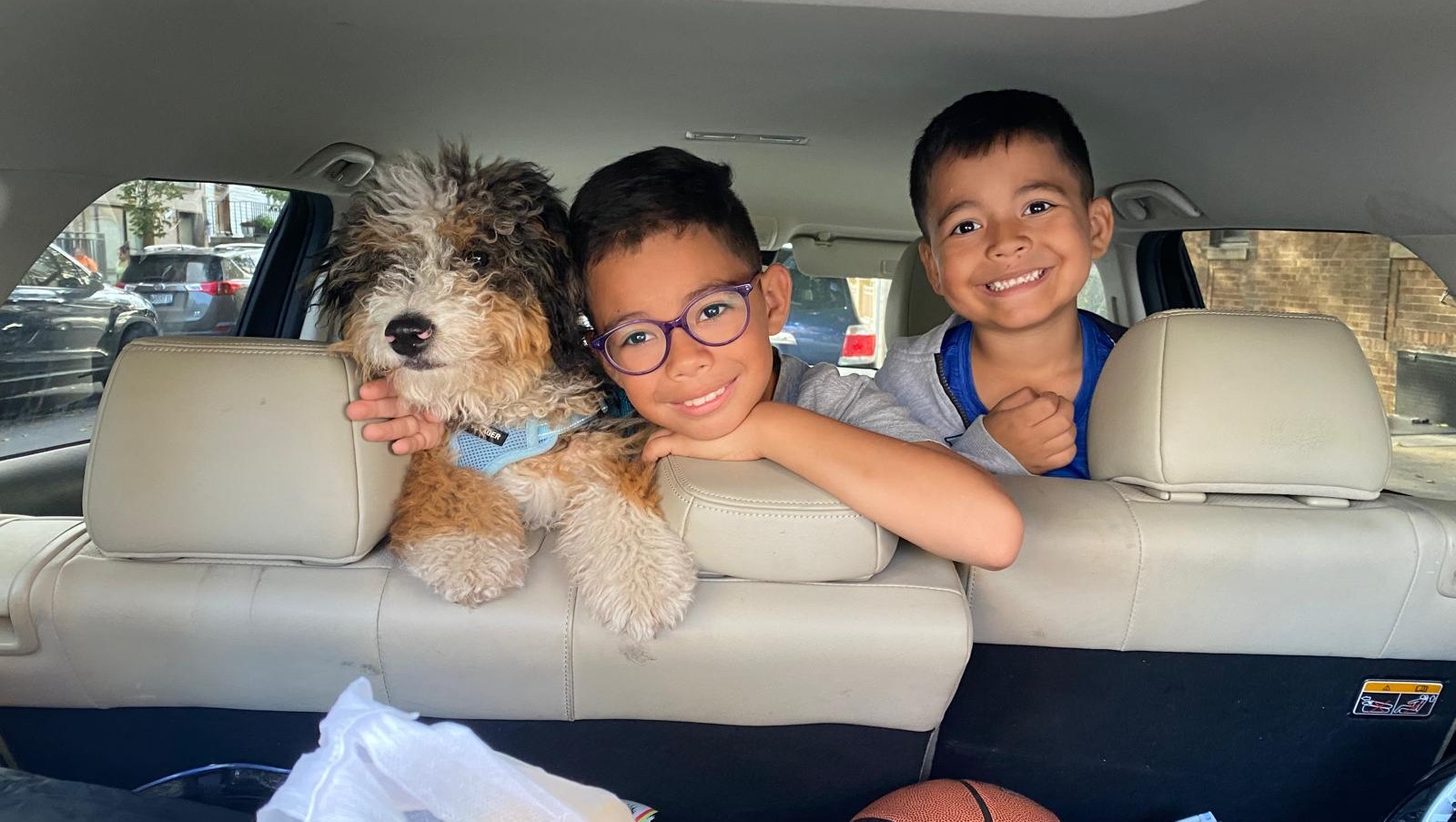 Fundraiser by Steven Rivas : Help Zephyr In His Recovery