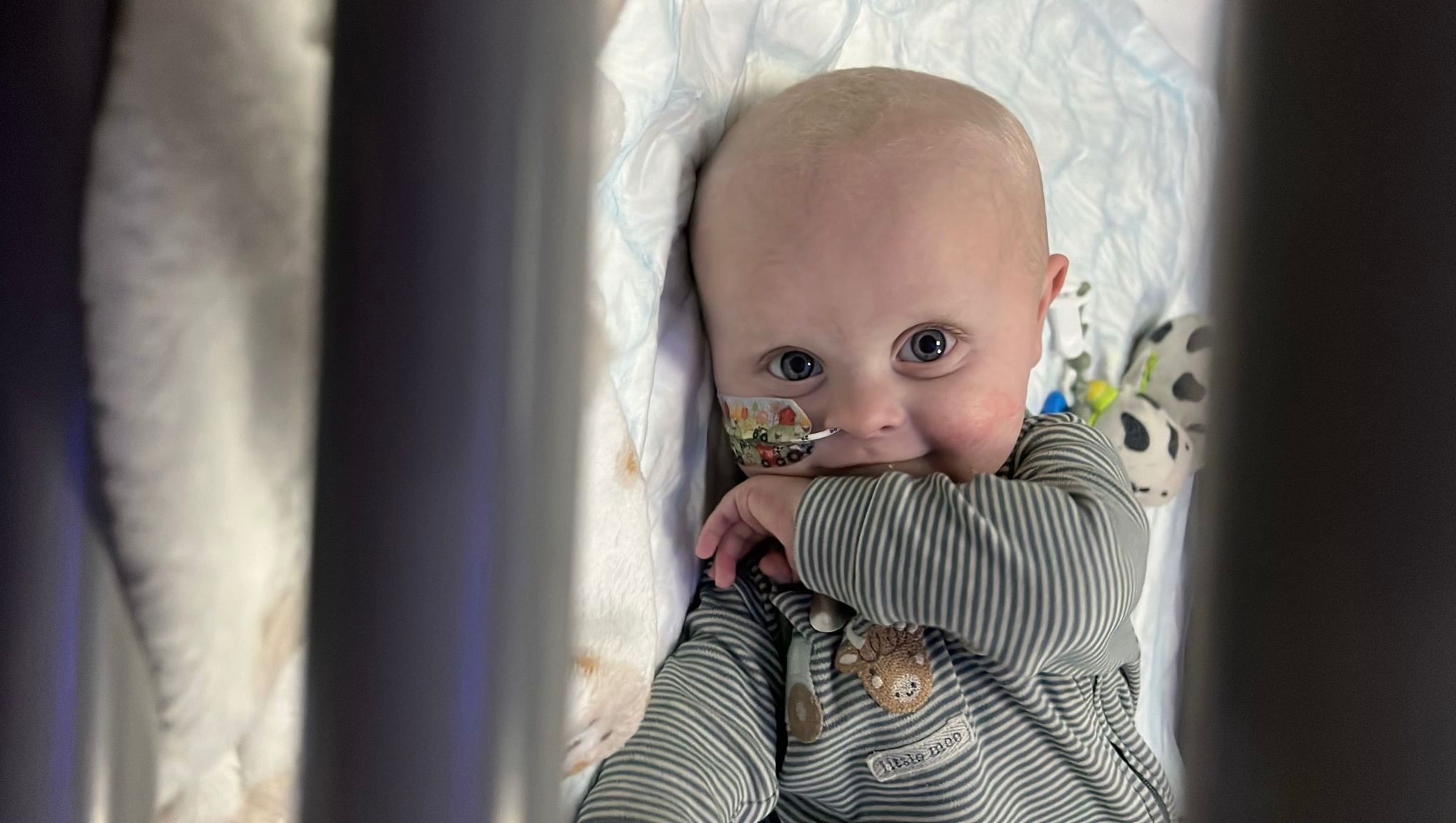 Fundraiser for Jessica Wormington by Emily Oerton : Wilfred Ernie ...
