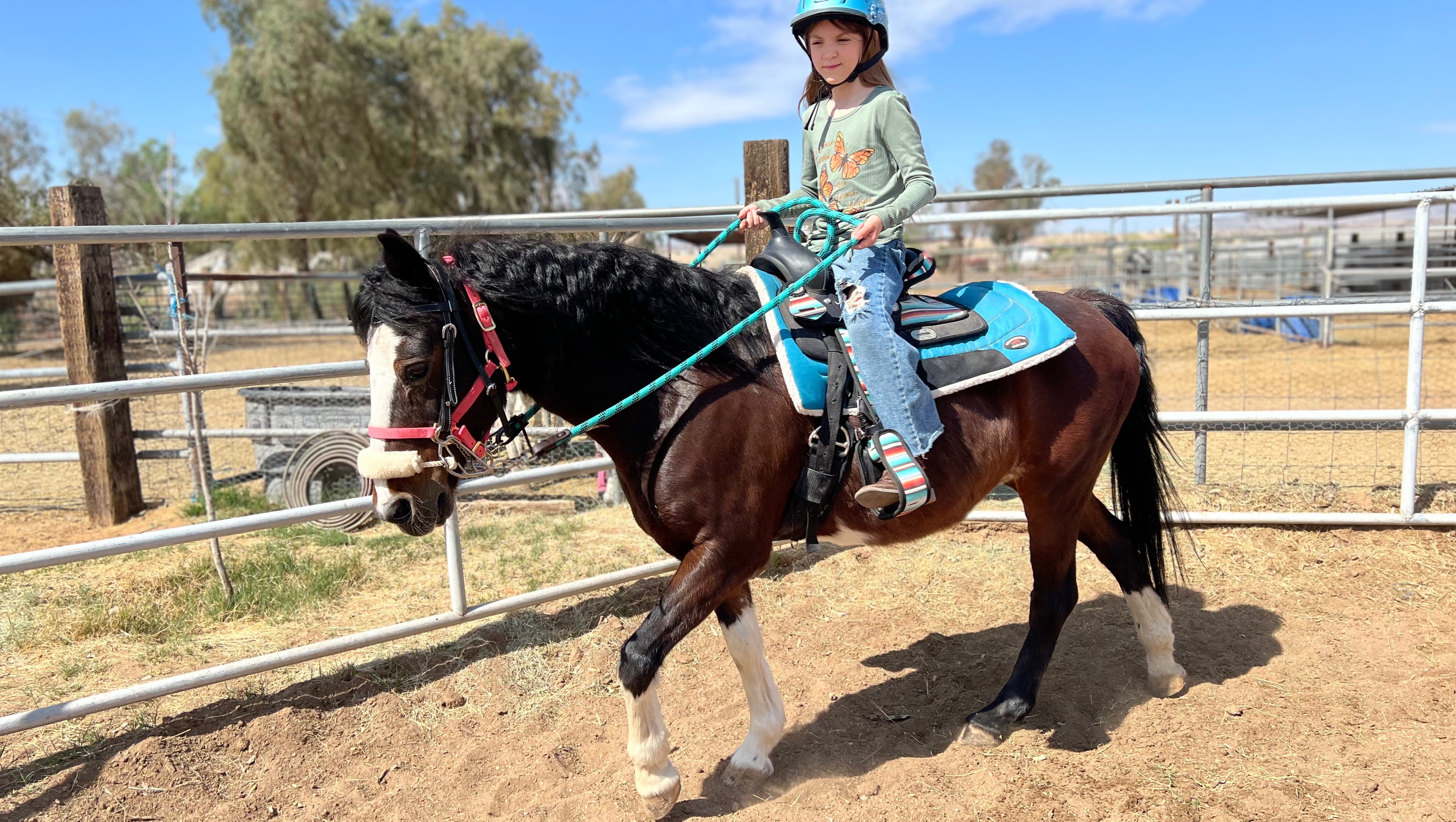 Fundraiser by Staci Gilchriese : Help us save our girls pony