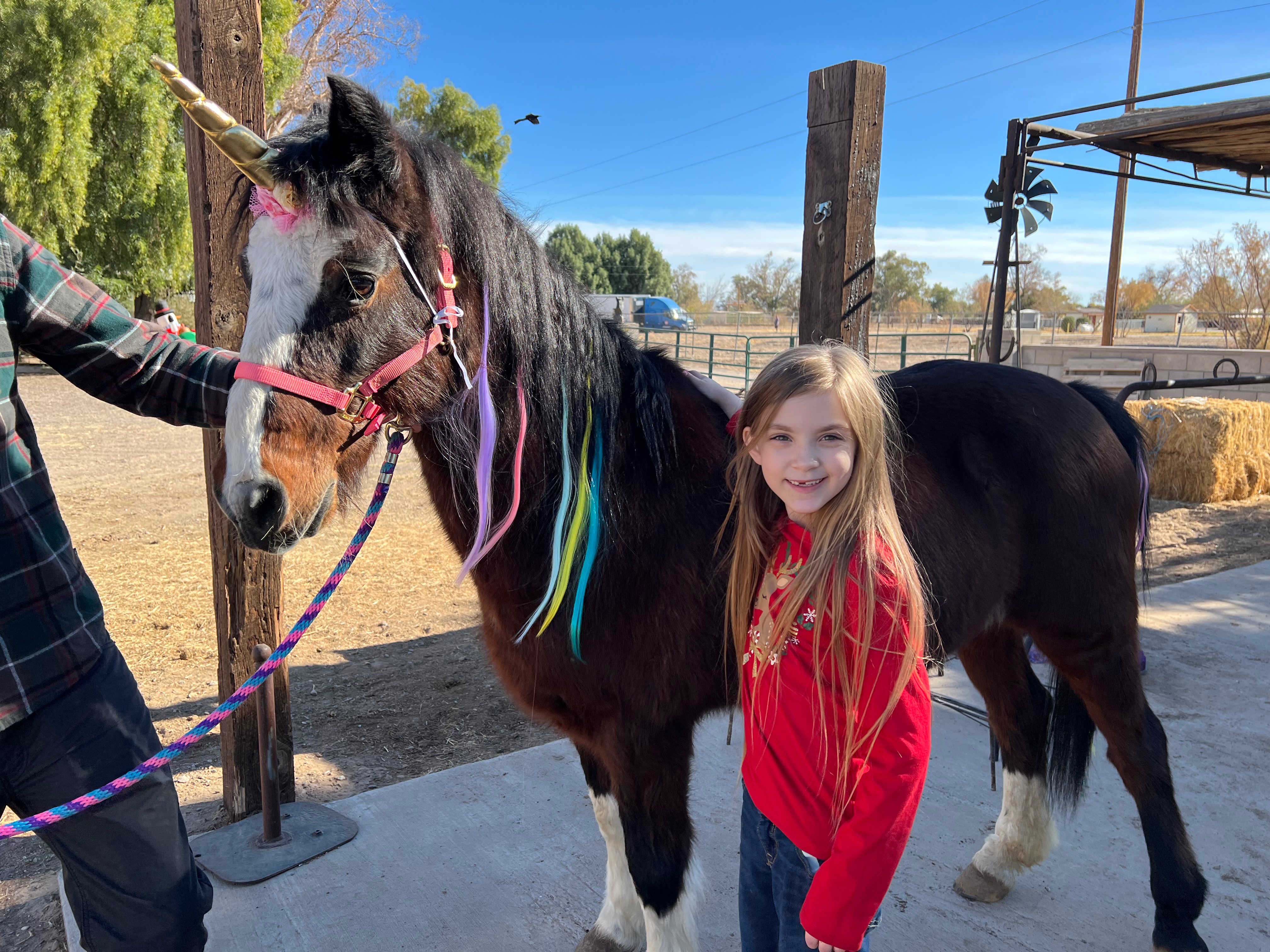 Fundraiser by Staci Gilchriese : Help us save our girls pony